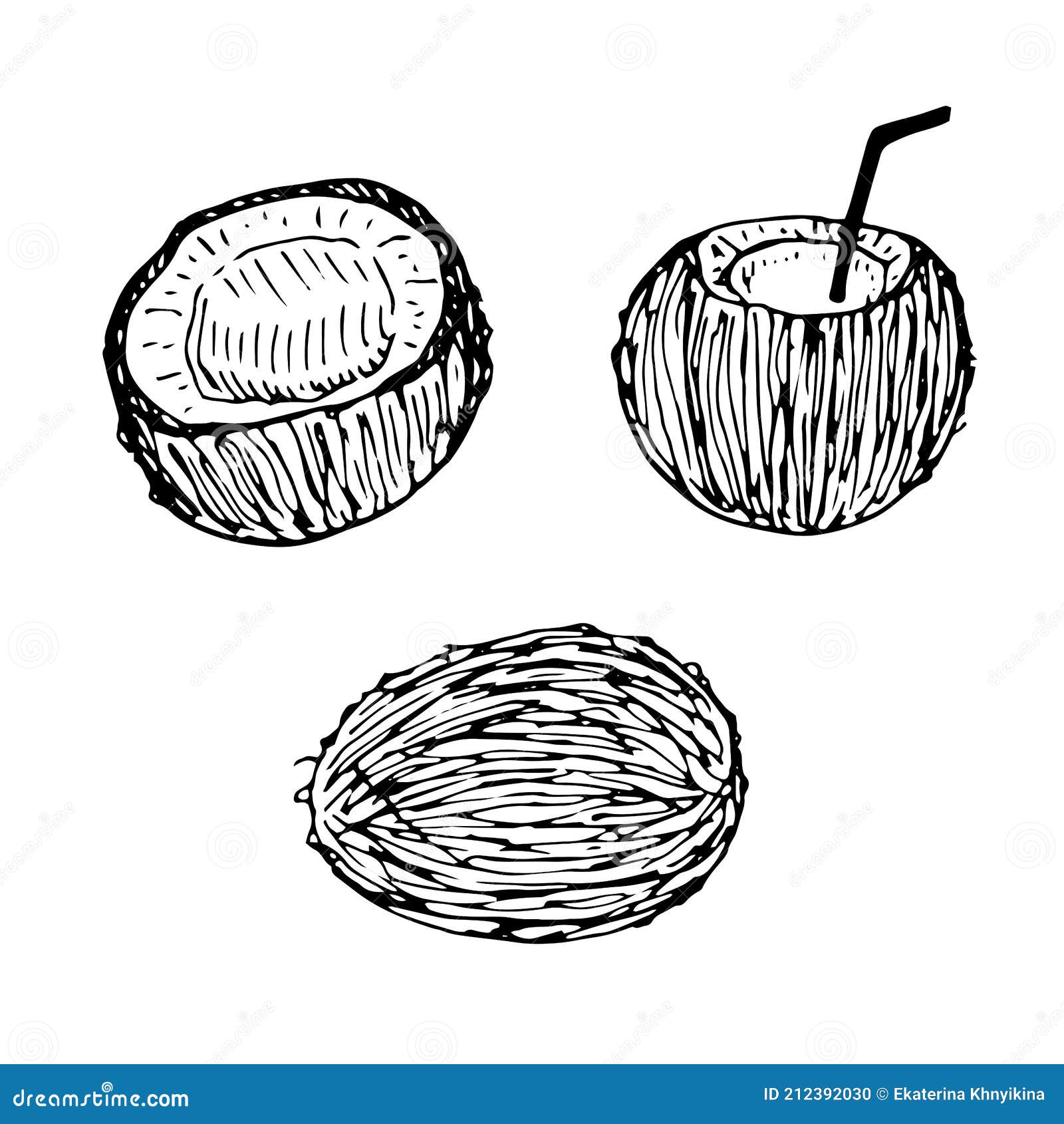 Set of Coconut, Whole, Half and Coconut with Straw, Vector Illustration ... Set of Coconut, Whole, Half and Coconut with Straw, Vector Illustration ...