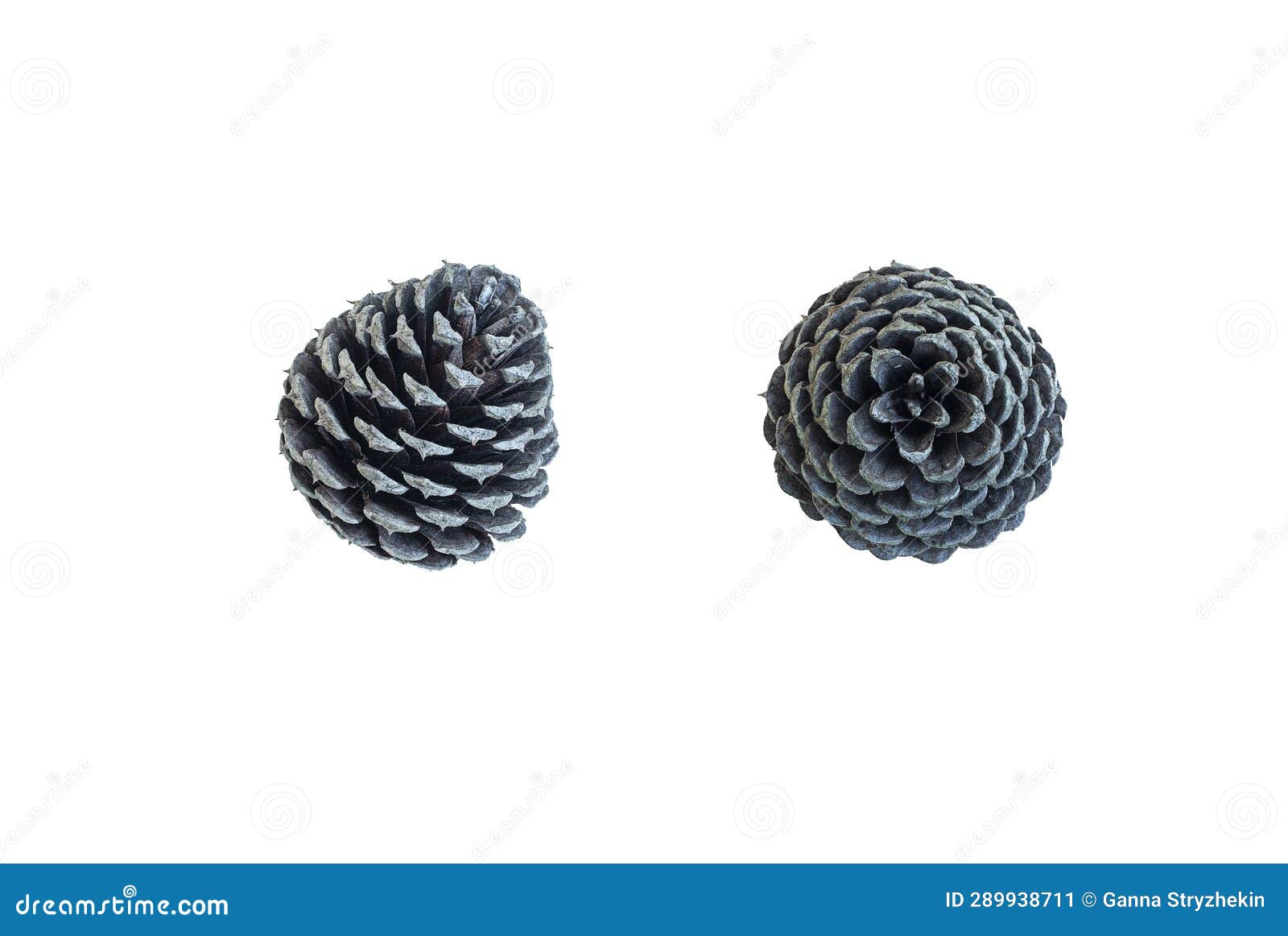 Set Collection of Bumps in Different Positions. Isolate on White Stock ...