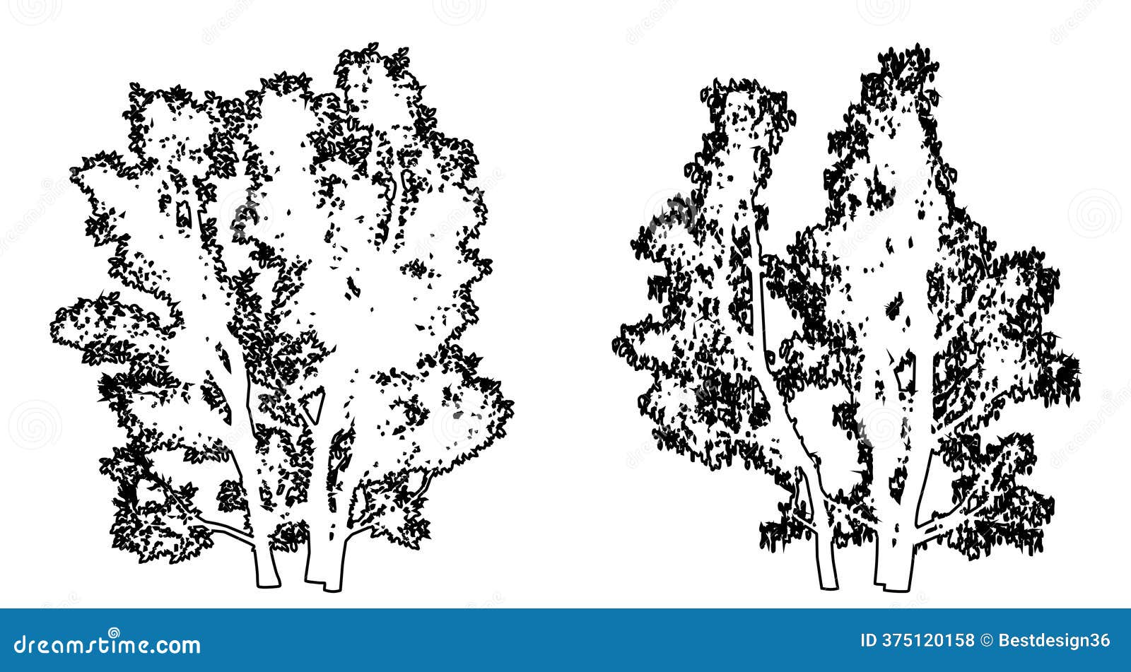 Set Or Collection Of Common Hazel Trees, Painted, Natural And As A ...
