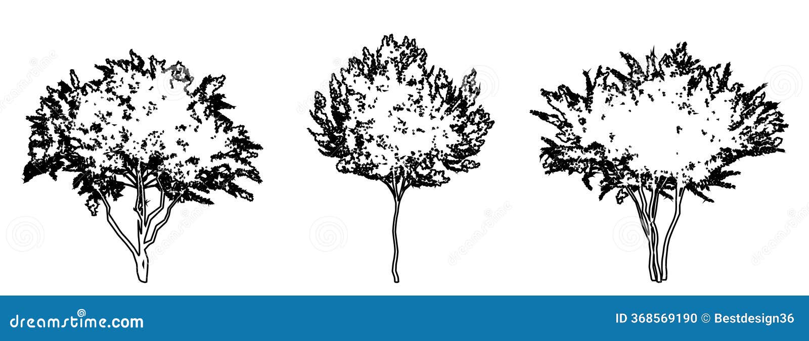 White Crape Myrtle Flowers On White Background Vector Illustration ...
