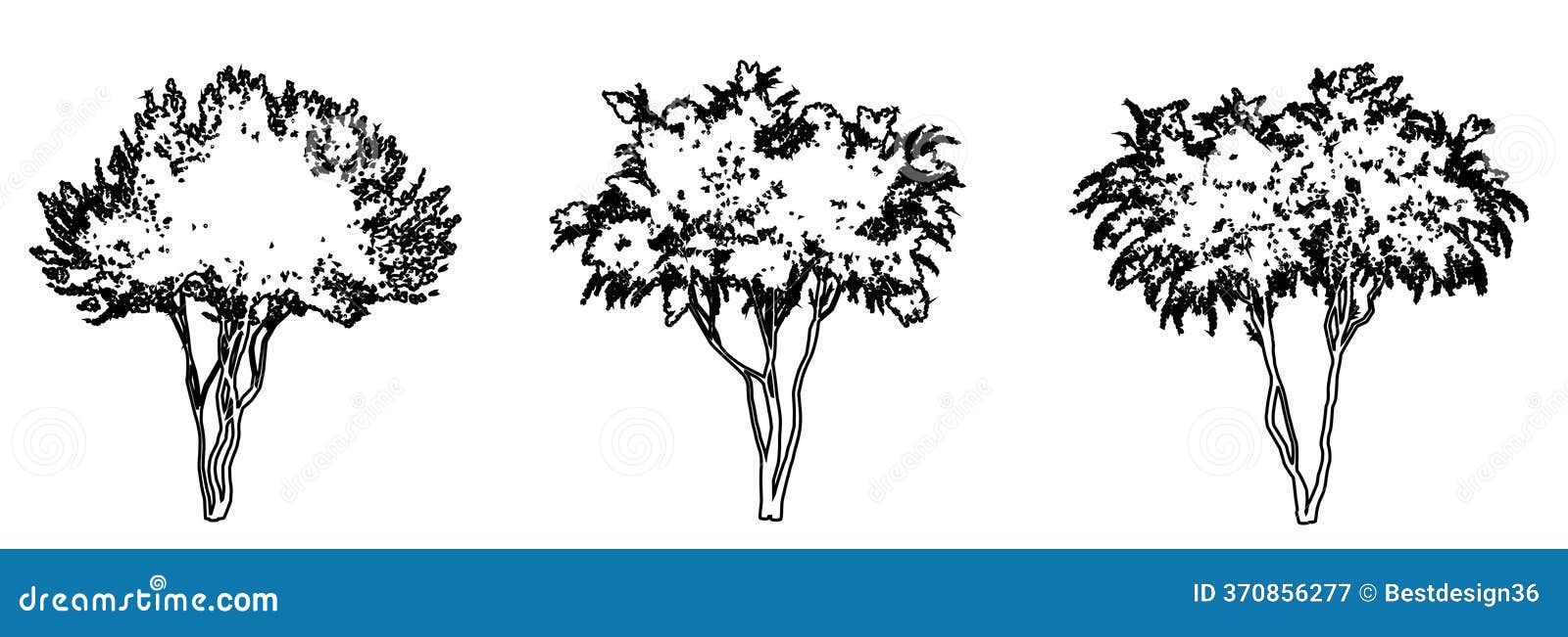 White Crape Myrtle Flowers On White Background Vector Illustration ...