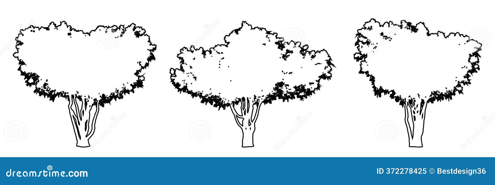 White Crape Myrtle Flowers On White Background Vector Illustration ...