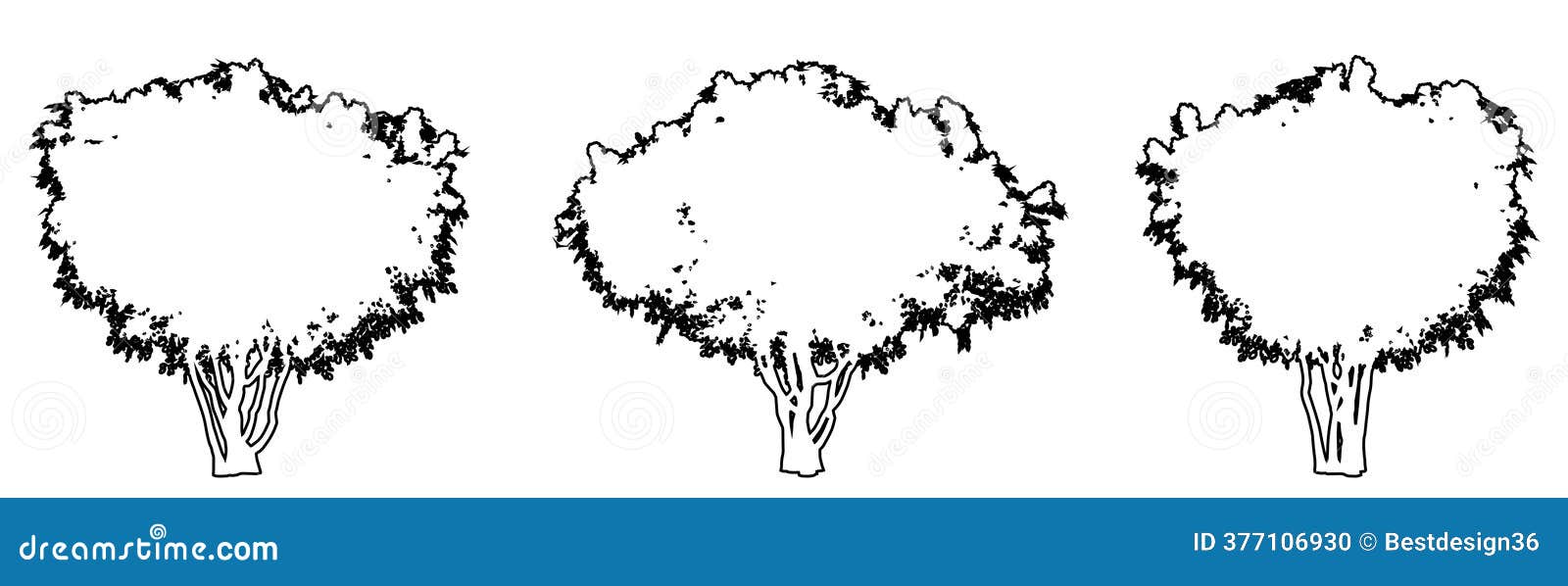 Set Or Collection Of Crape Myrtle Trees, Painted, Natural And As A ...