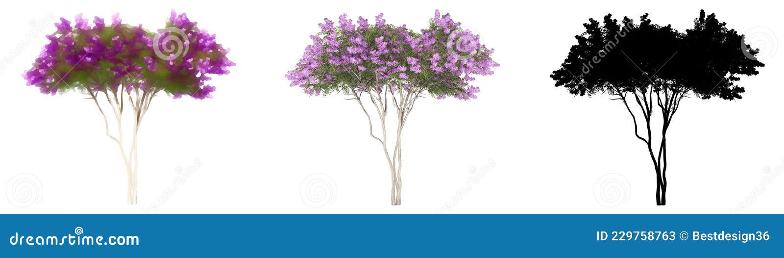 Set Or Collection Of Crape Myrtle Trees, Painted, Natural And As A ...