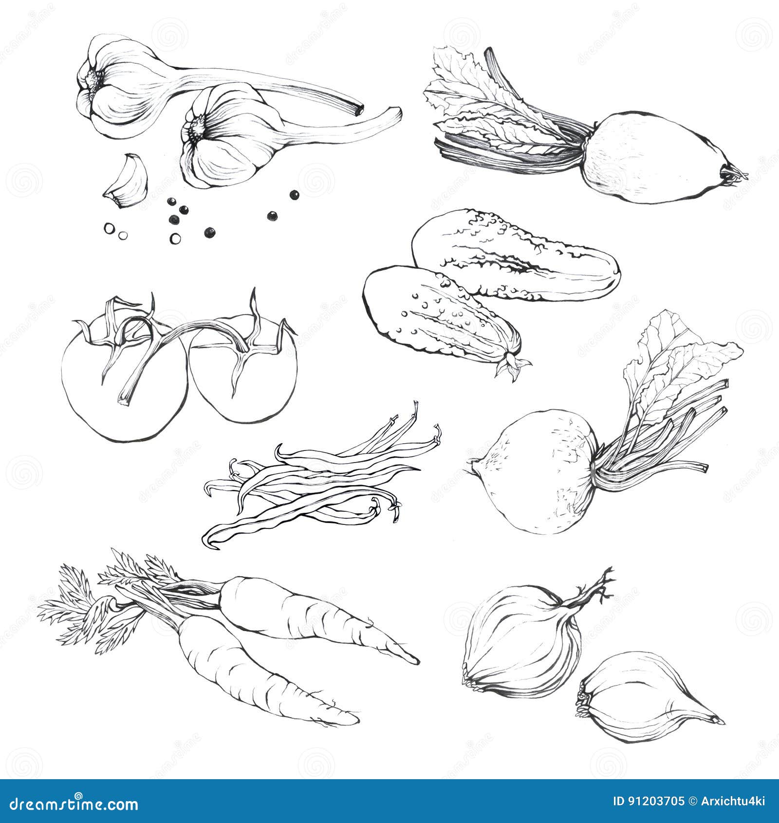 Set, Collection of Various Hand Drawn Vegetables. Stock Illustration ...