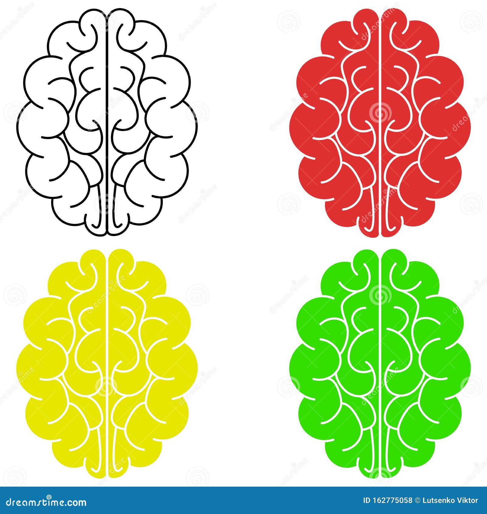 Color Brain Set Collection In Different Views Vector | CartoonDealer ...