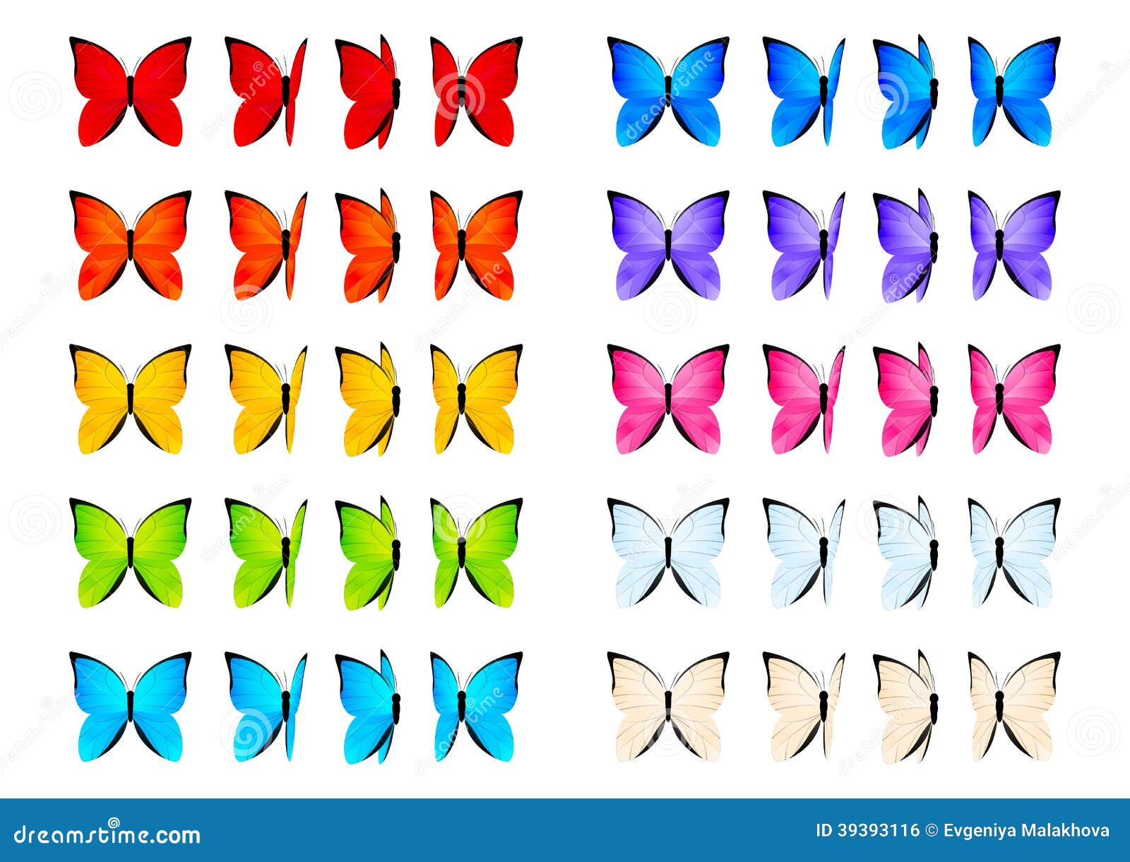 Set of Color Butterflies Isolated Stock Vector - Illustration of ...