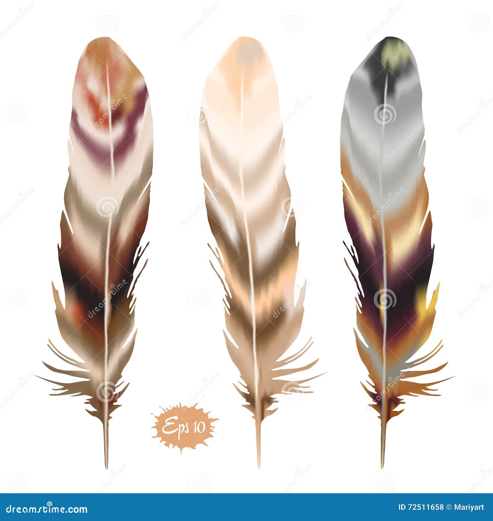 Set of Color Feather in Boho Style Stock Vector - Illustration of ...