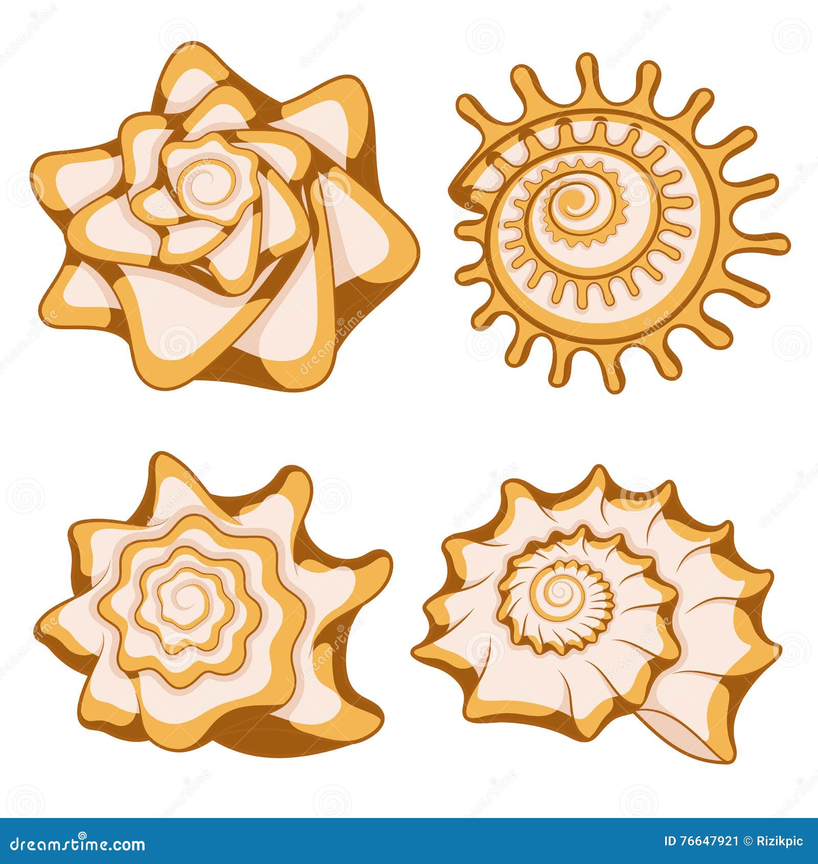 Set of Color Graphic Sea Shells. EPS10 Stock Vector - Illustration of ...