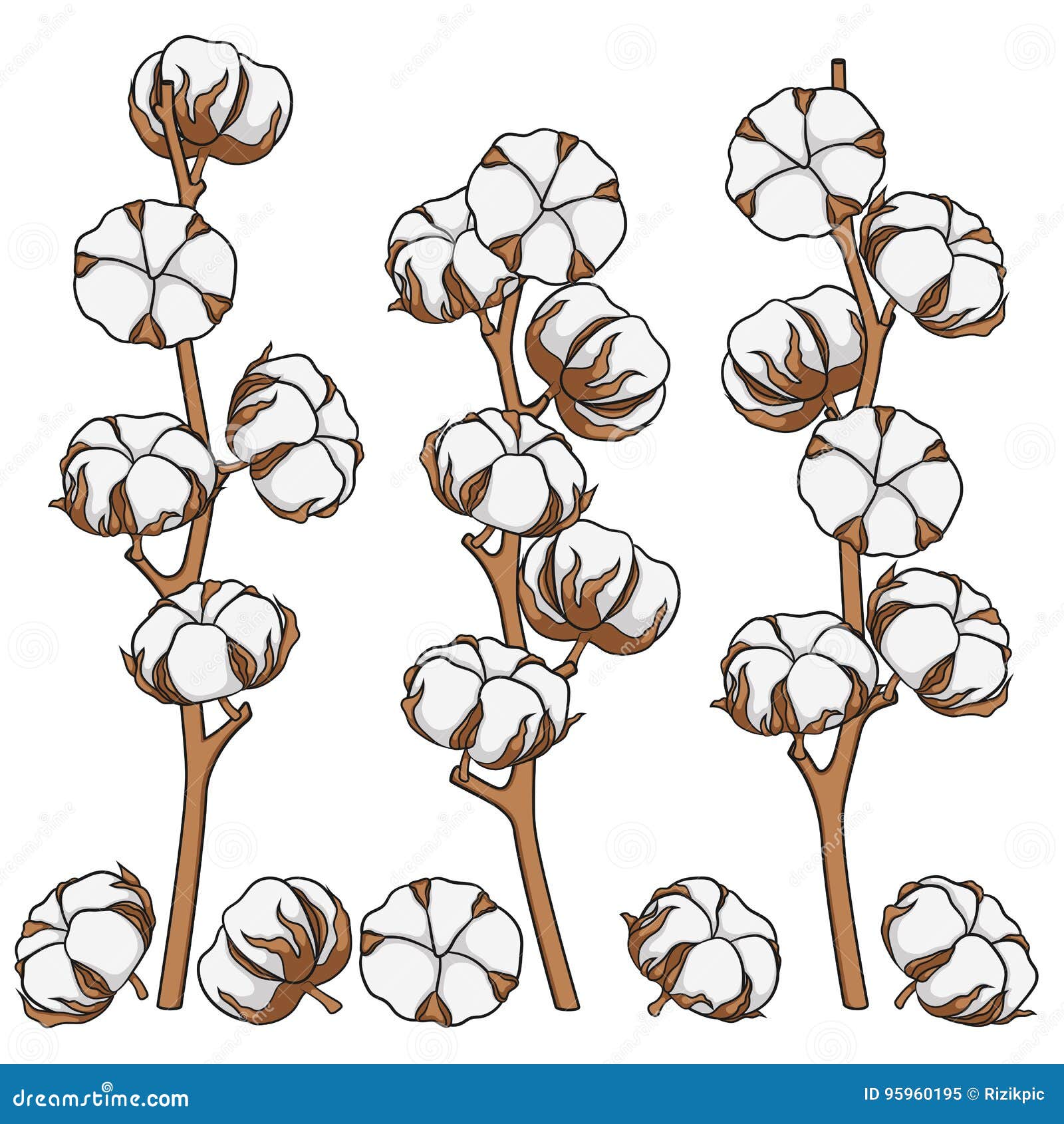 Set of Color Illustrations with Cotton Branches. Isolated Vector ...
