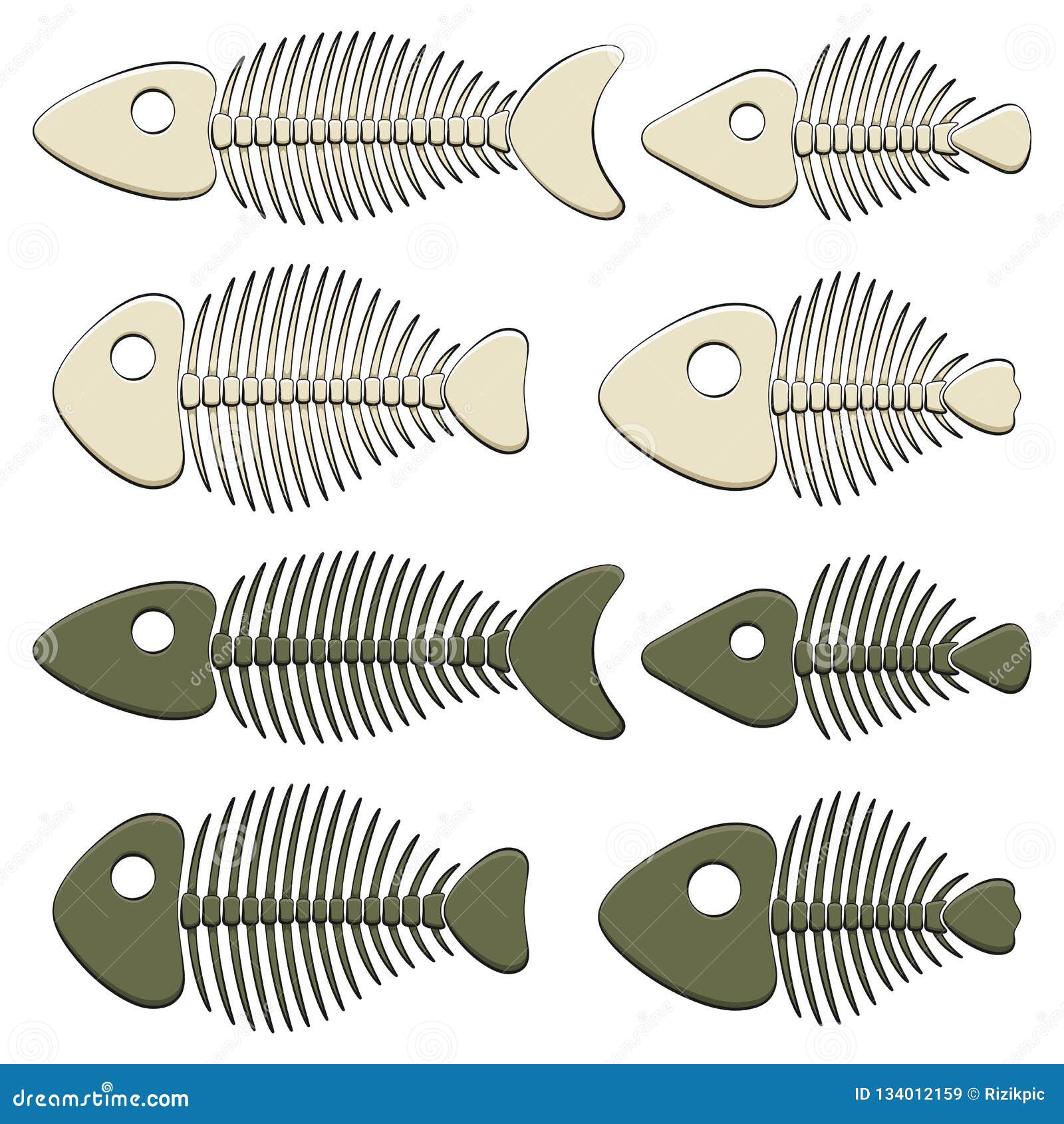 Set of Color Illustrations with Fish Skeletons. Isolated Vector Objects ...