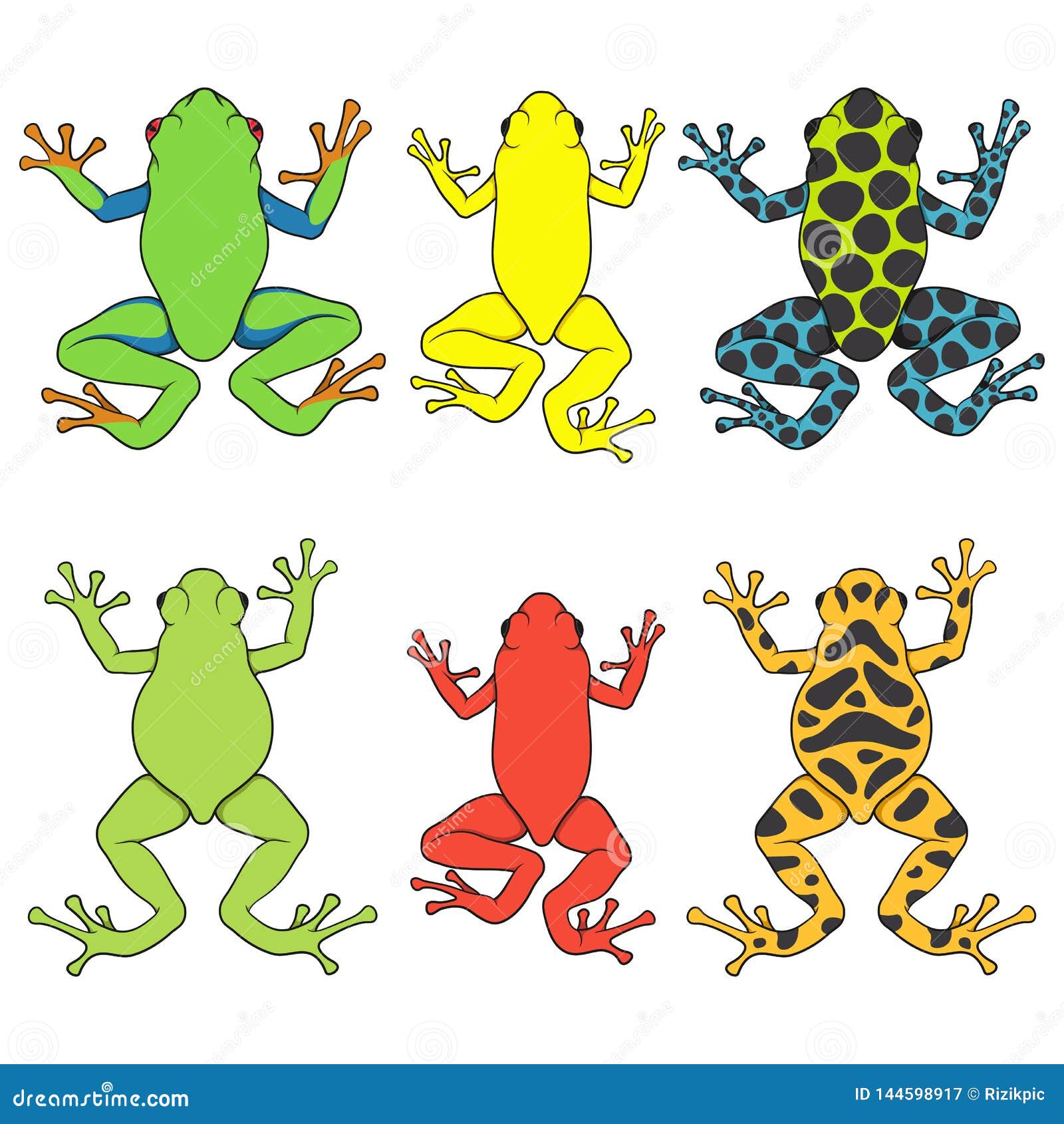 Set of Color Illustrations with Tropical Tree Frogs. Isolated Vector ...