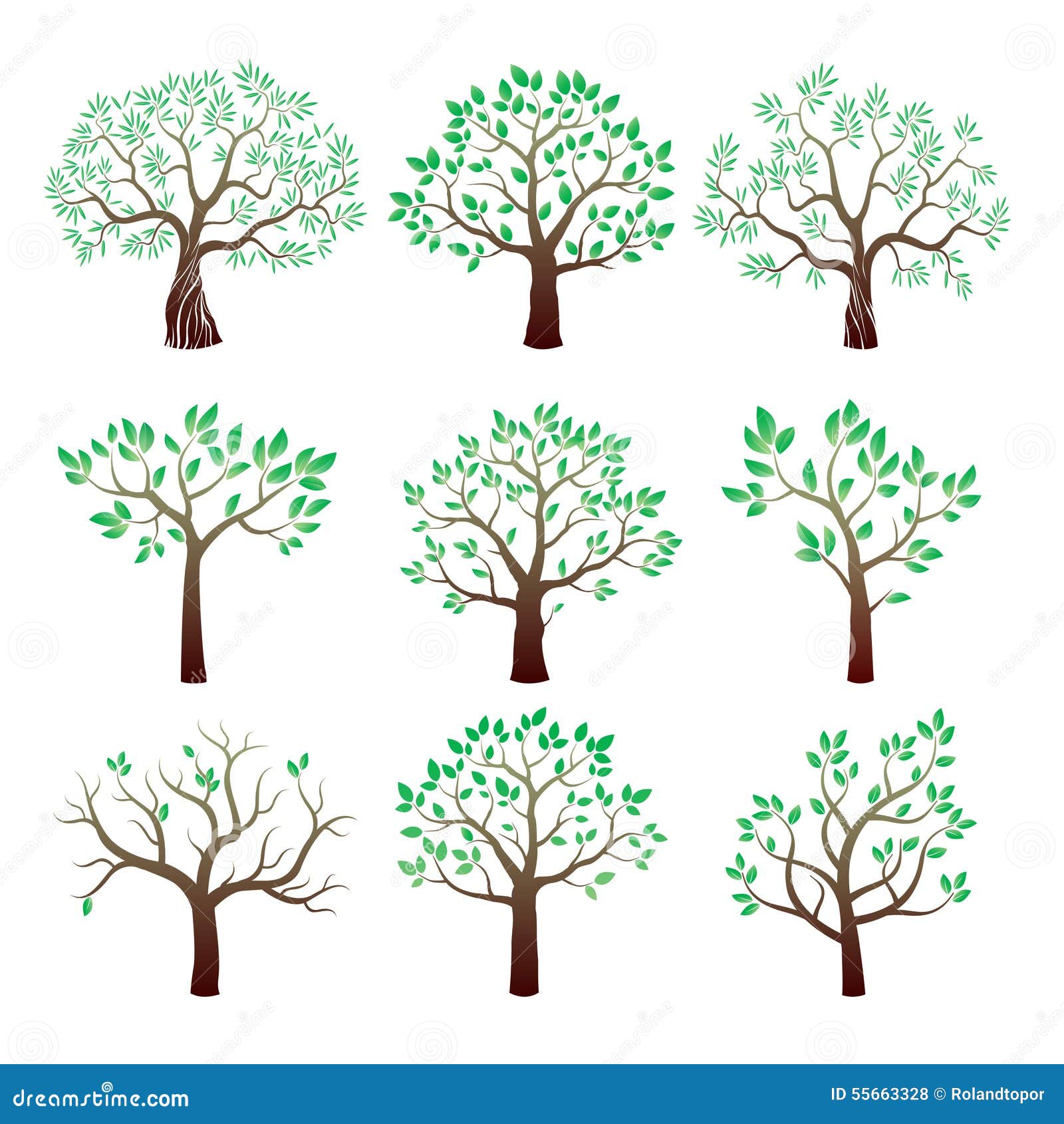 Set of color trees. stock illustration. Illustration of garden - 55663328