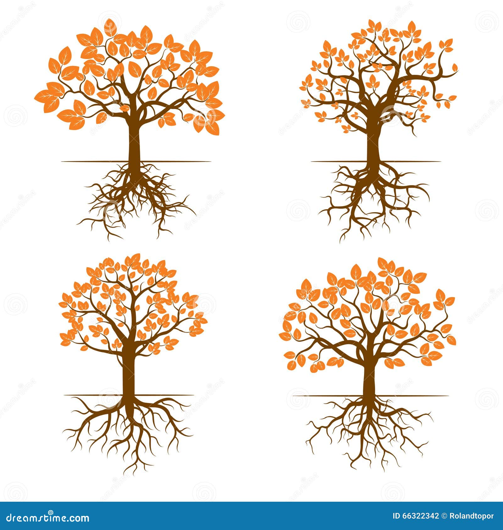 Set of Color Trees and Roots. Vector Illustration. Stock Illustration ...