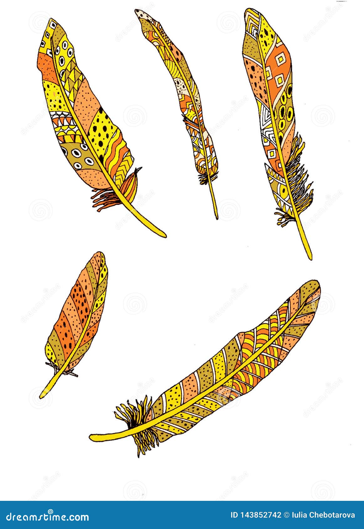Set of Colored Feathers. Doodle. Stock Illustration - Illustration of ...