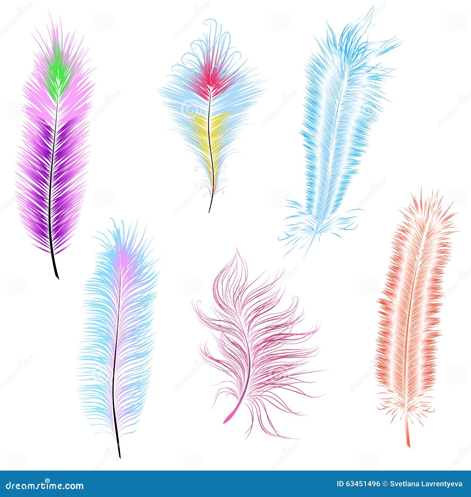 Colored Feathers And Of Silhouettes Cartoon Vector | CartoonDealer.com ...