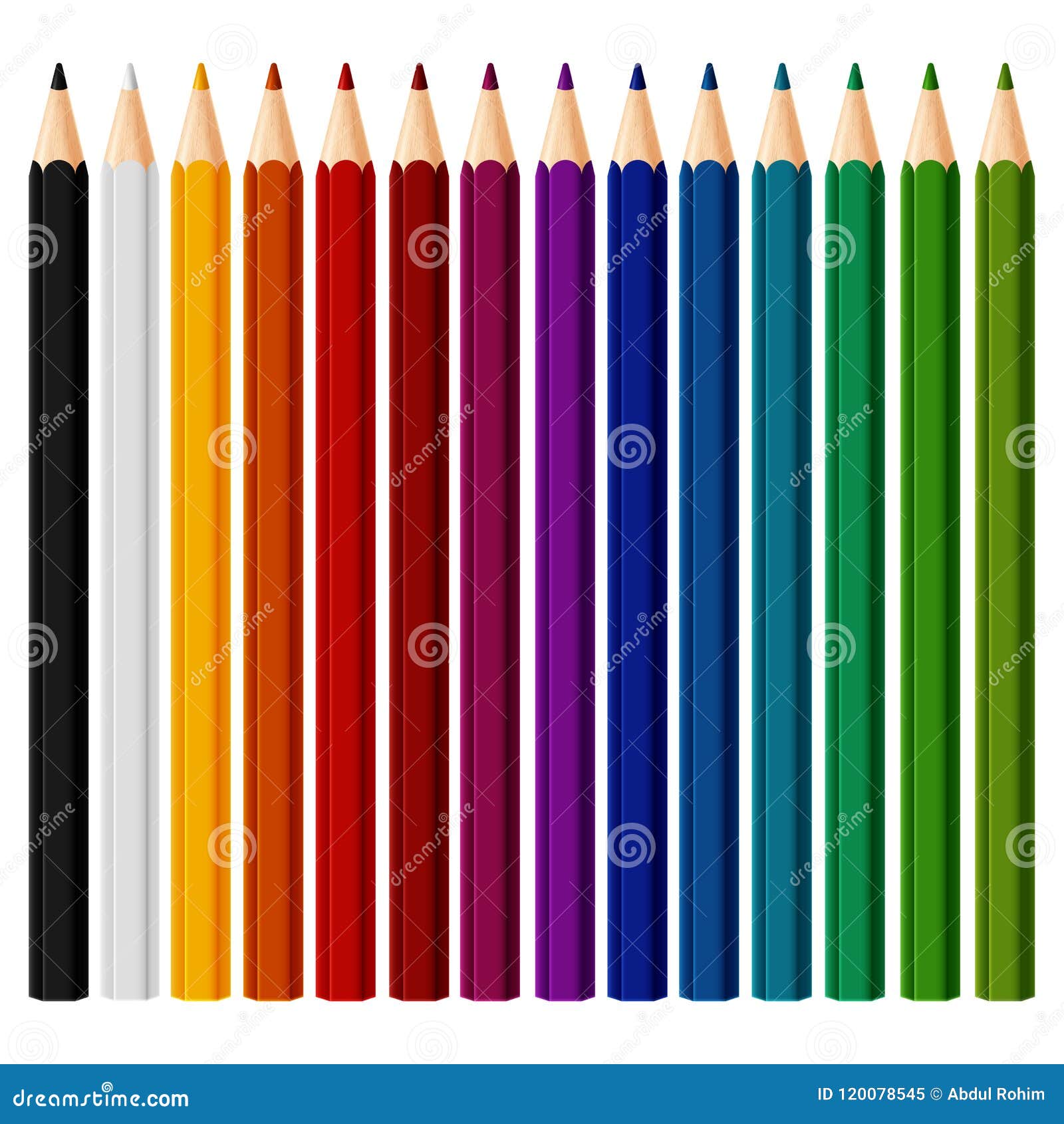 Set of Colored Pencil Collection Evenly Arranged Stock Vector ...