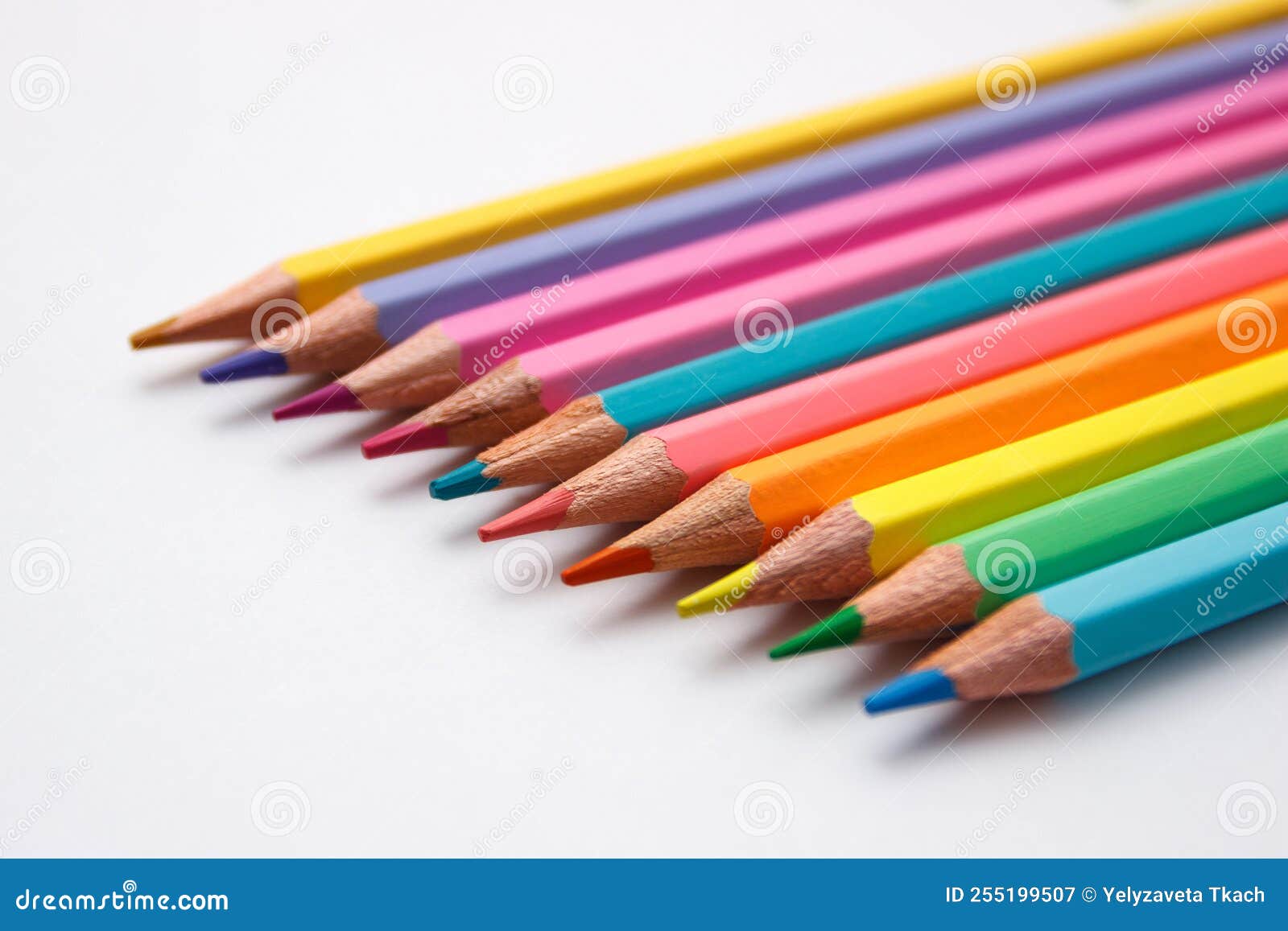 Set of Colored Pencils, School Equipment on the Table Stock Image ...