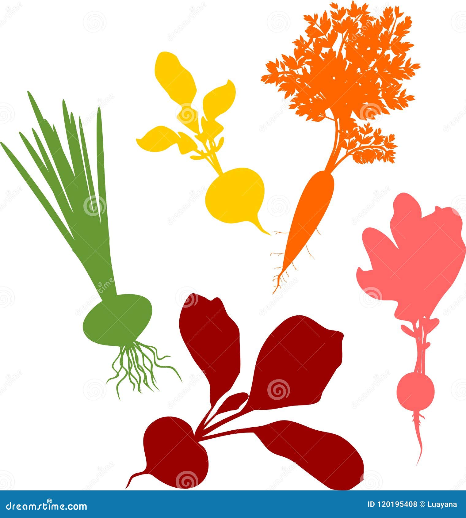 Set of Colored Silhouettes of Different Root Vegetables with Leaves on ...
