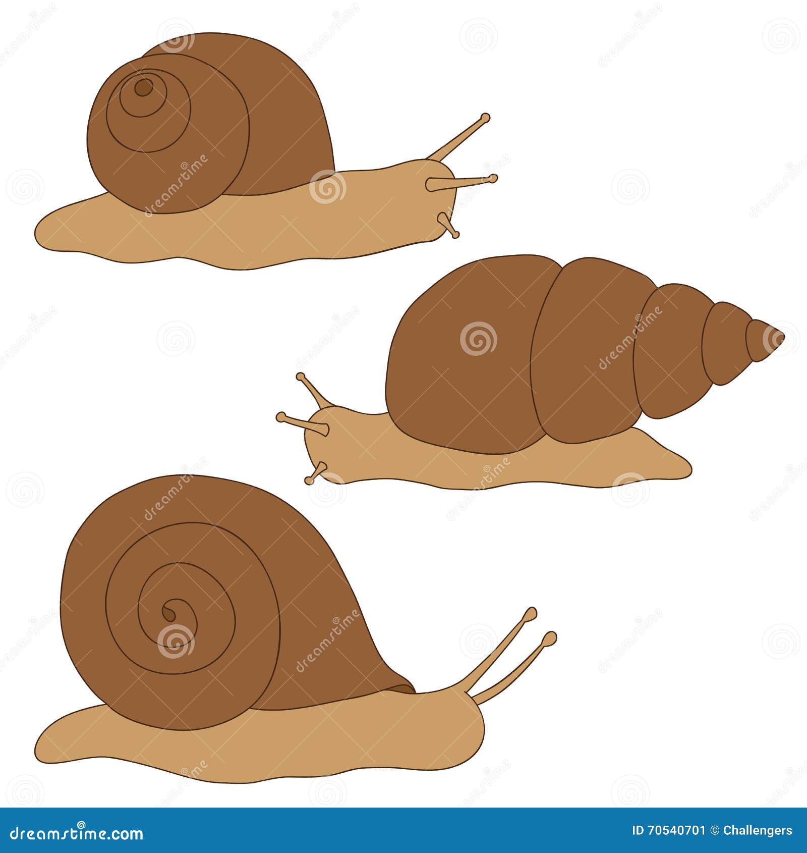 Set of Colored Snails. Drawing Hand Stock Vector - Illustration of ...