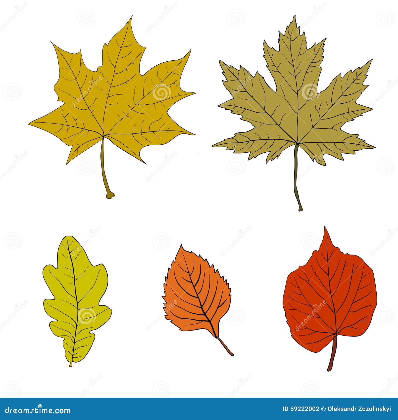 Set Of Colorful Autumn Leaves Vector Illustration Stock Vector