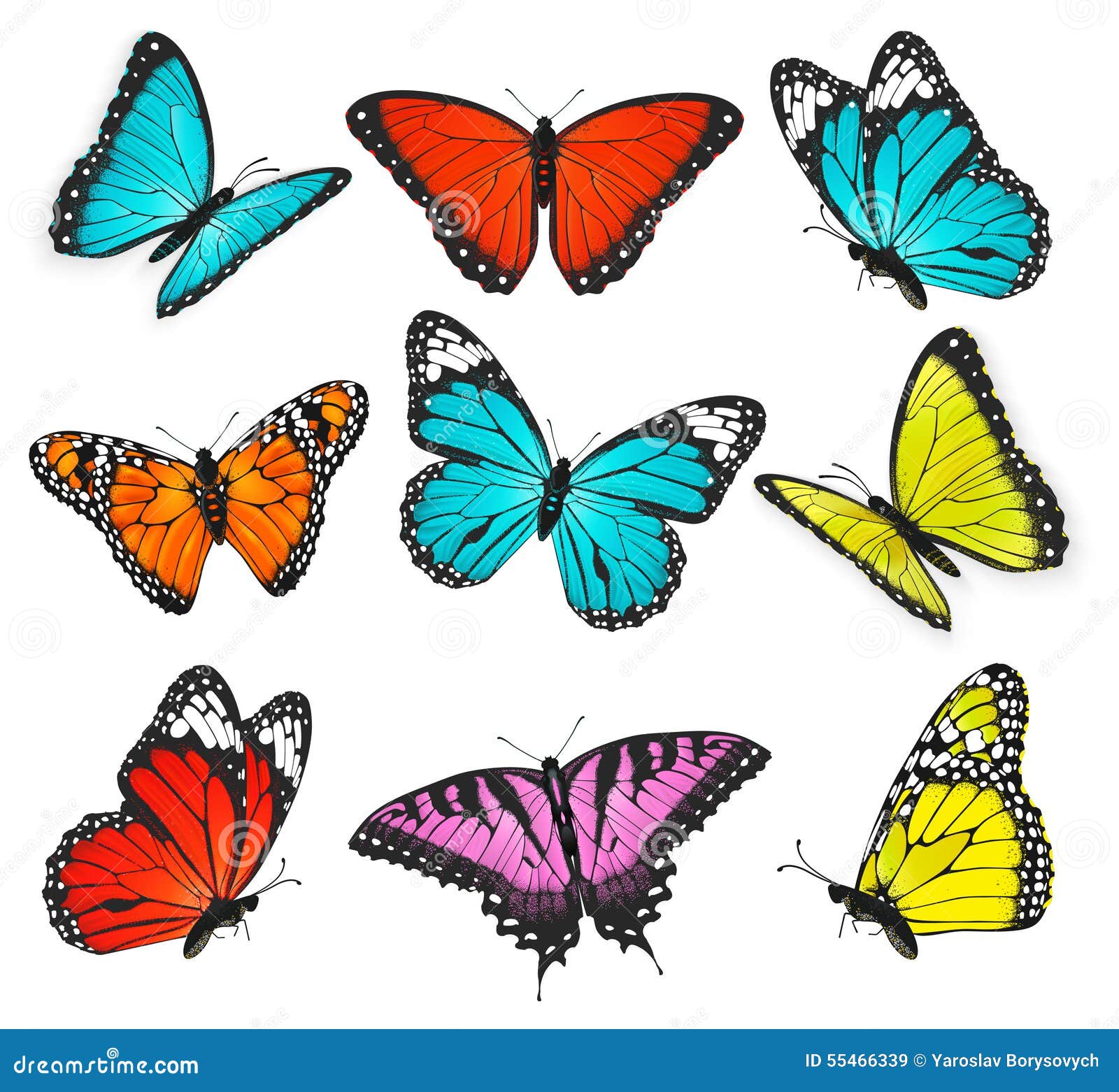 Set of Colorful Butterflies Vector Stock Vector - Illustration of ...