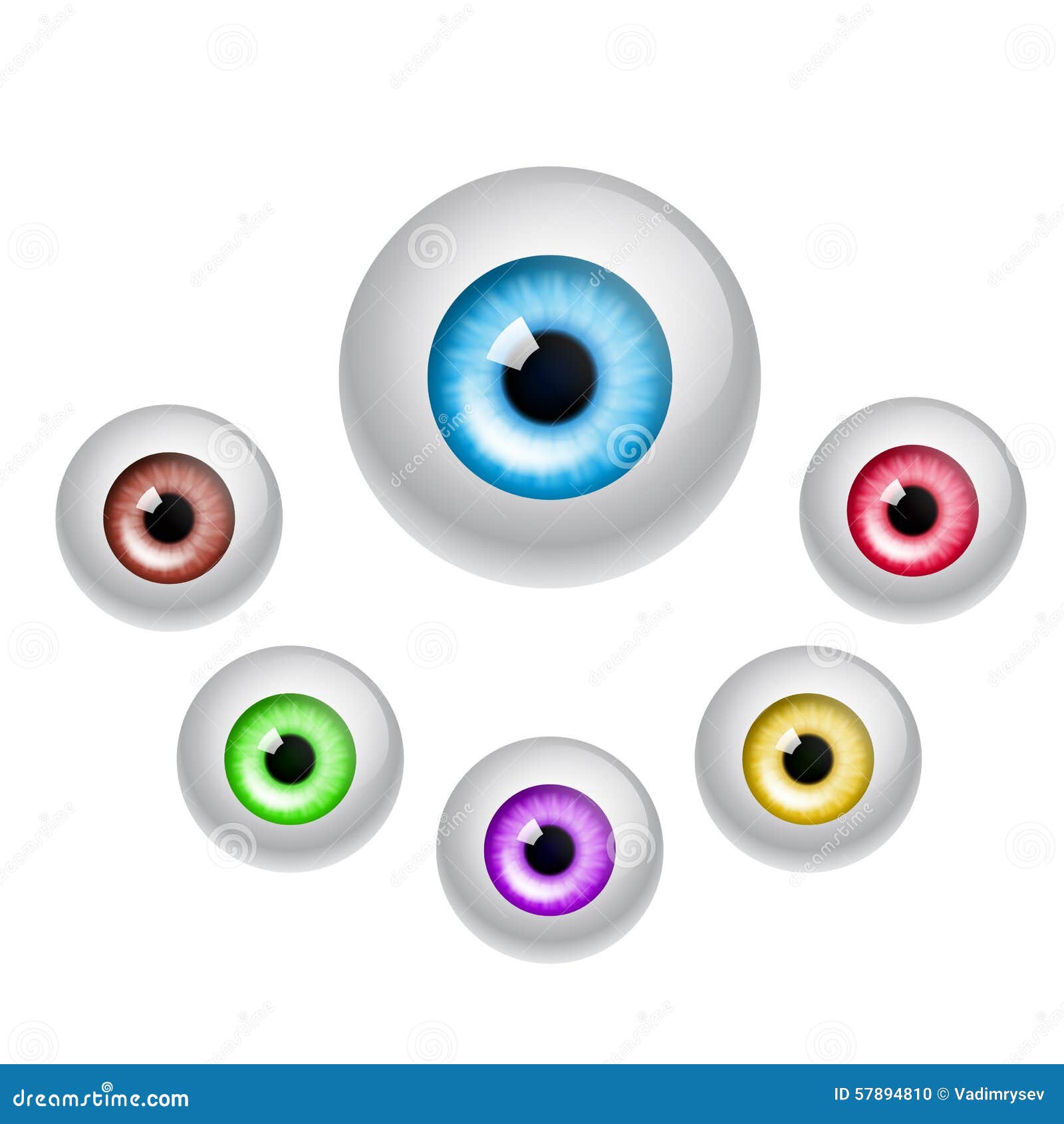 Set of Colorful Eyes Isolated on White Stock Vector - Illustration of ...