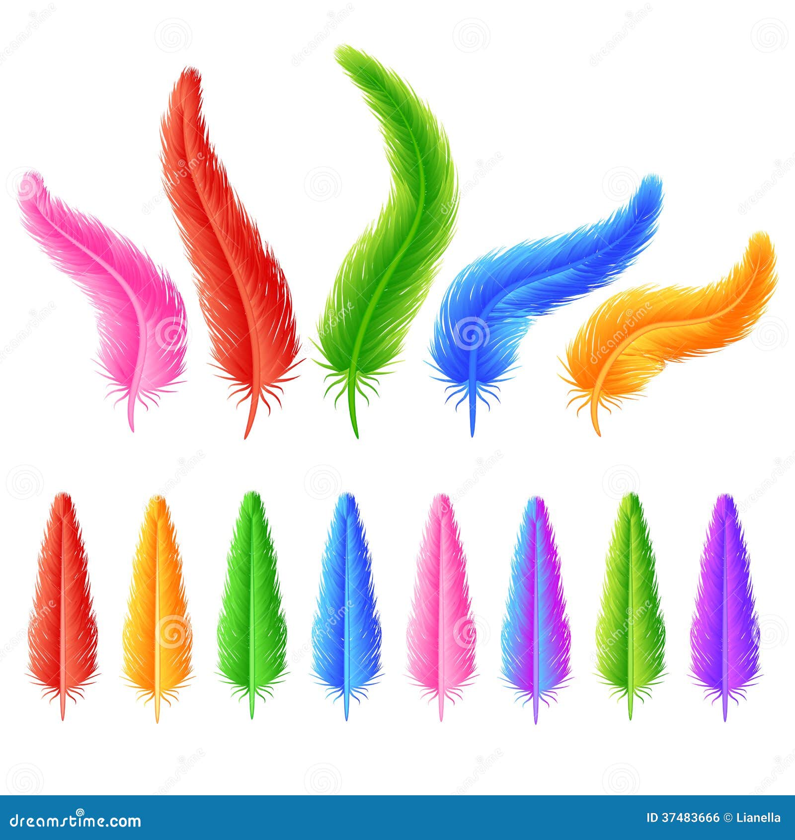 The Set of Colorful Feathers Stock Vector - Illustration of nature ...