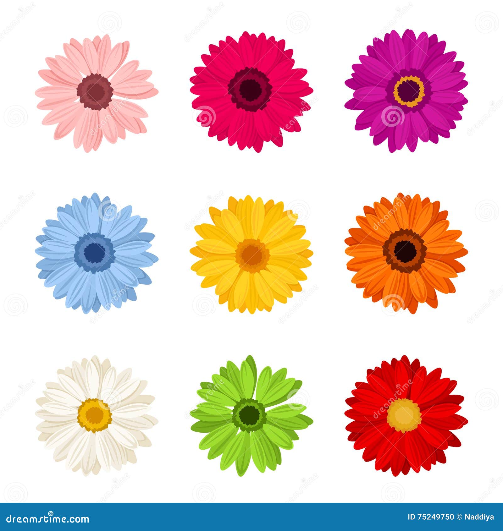 Colorful Gerbera Daisy Flower Row For Banner Vector Illustration ...