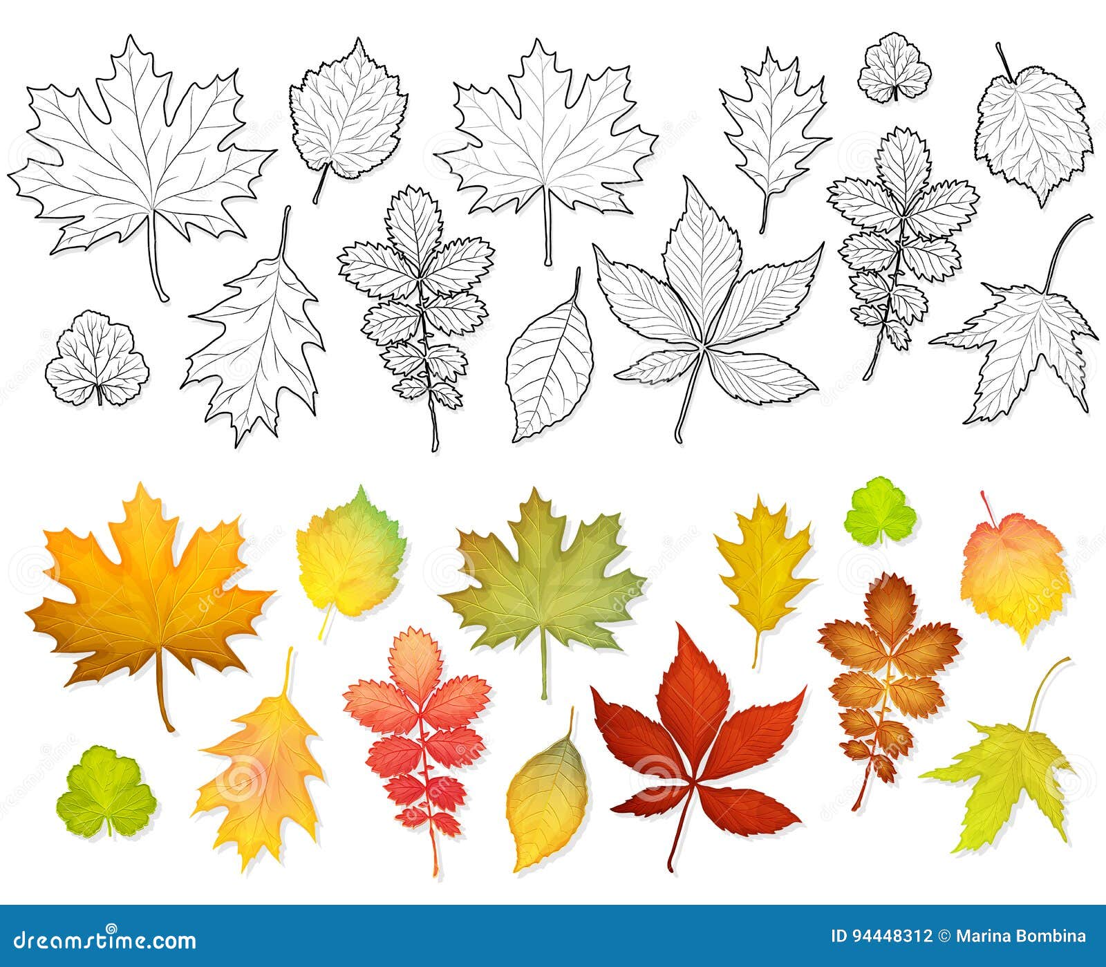 Set of Colorful Leaves Vector Stock Vector - Illustration of branch ...