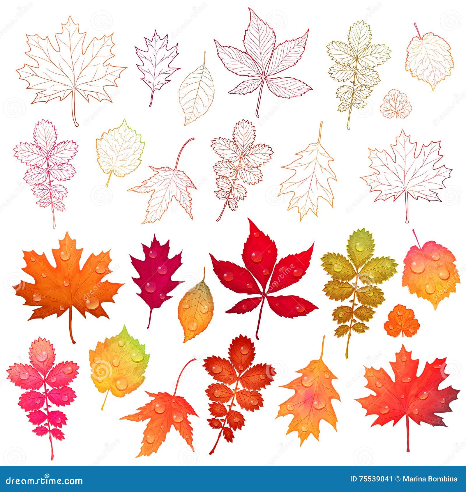 Set of Colorful Leaves Vector Stock Vector - Illustration of green ...
