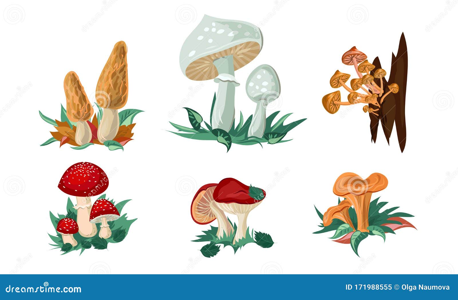 Set Of Colorful Mushrooms And Toadstools Vector Illustration In Flat