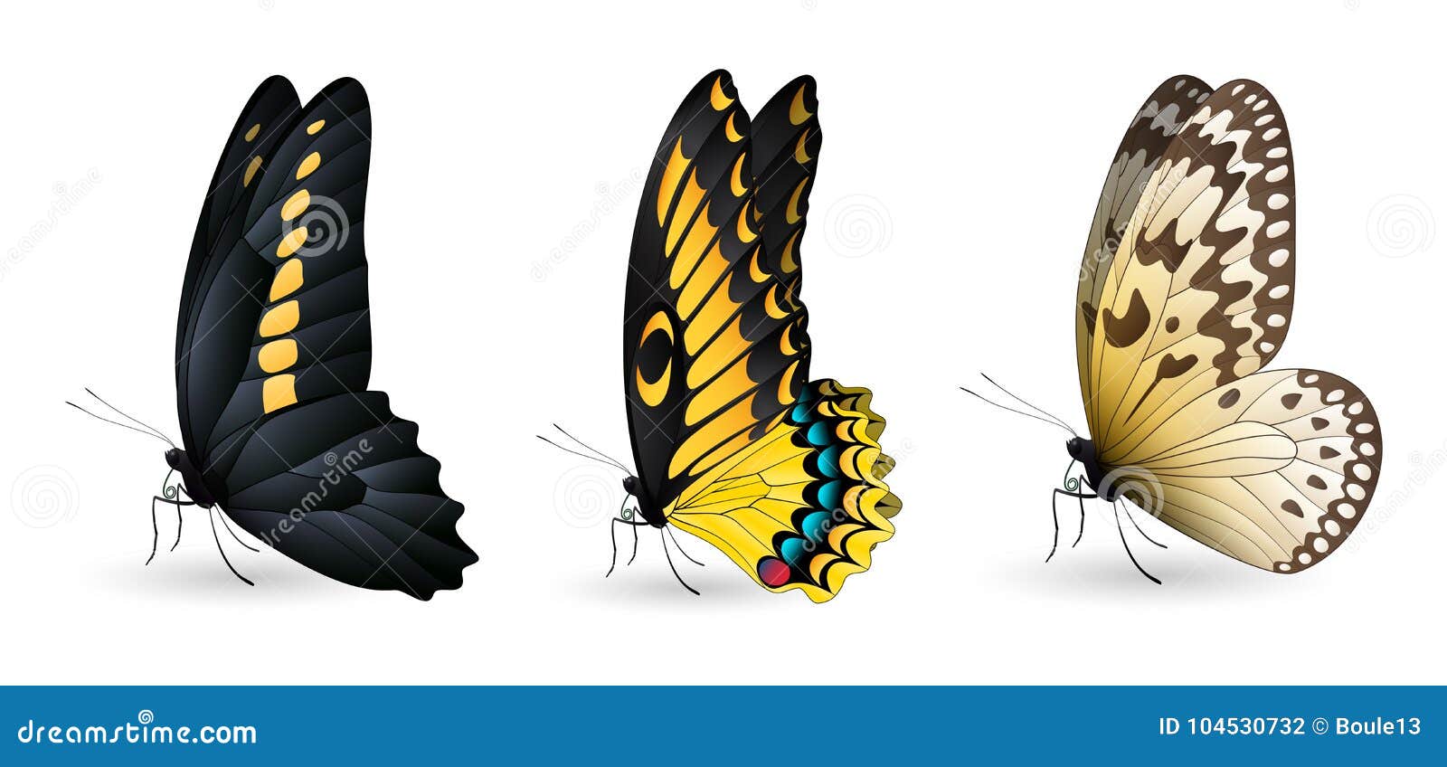 Set of Colorful Realistic Butterflies Stock Vector - Illustration of ...