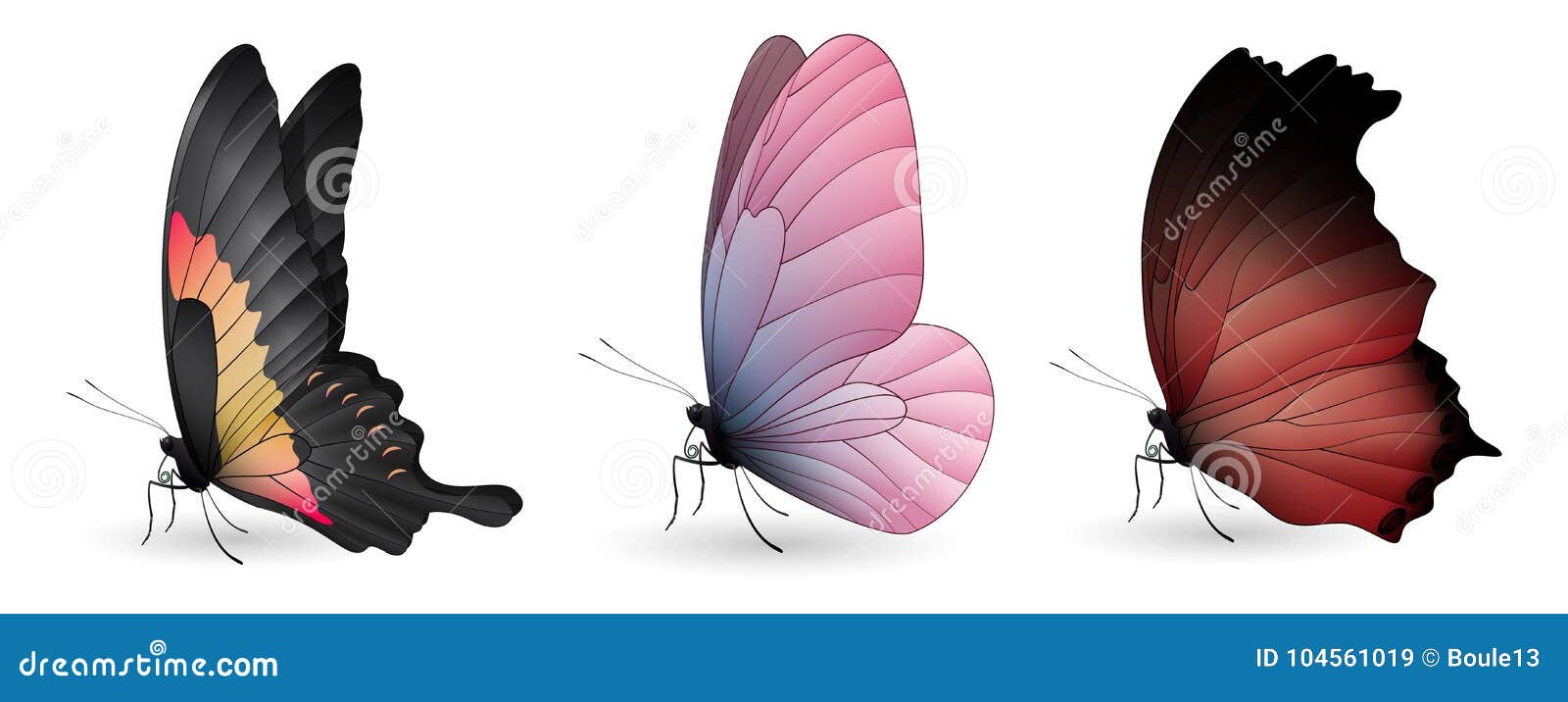 Set of Colorful Realistic Butterflies Stock Vector - Illustration of ...