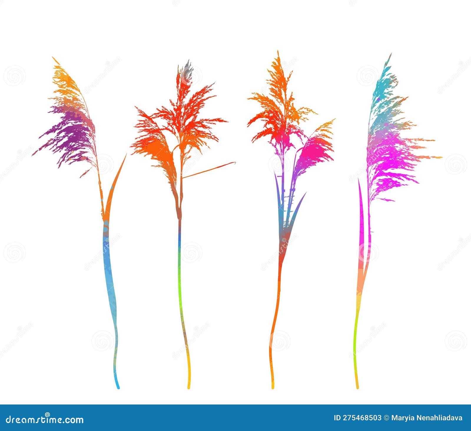 Set of Colorful Reeds Silhouette Objects. Vector Illustration Stock ...