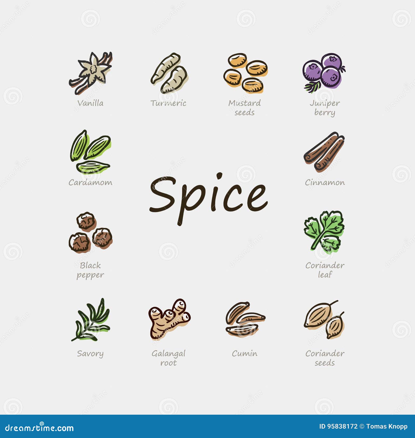 Set of Colorful Spice Icons Stock Vector - Illustration of savory ...