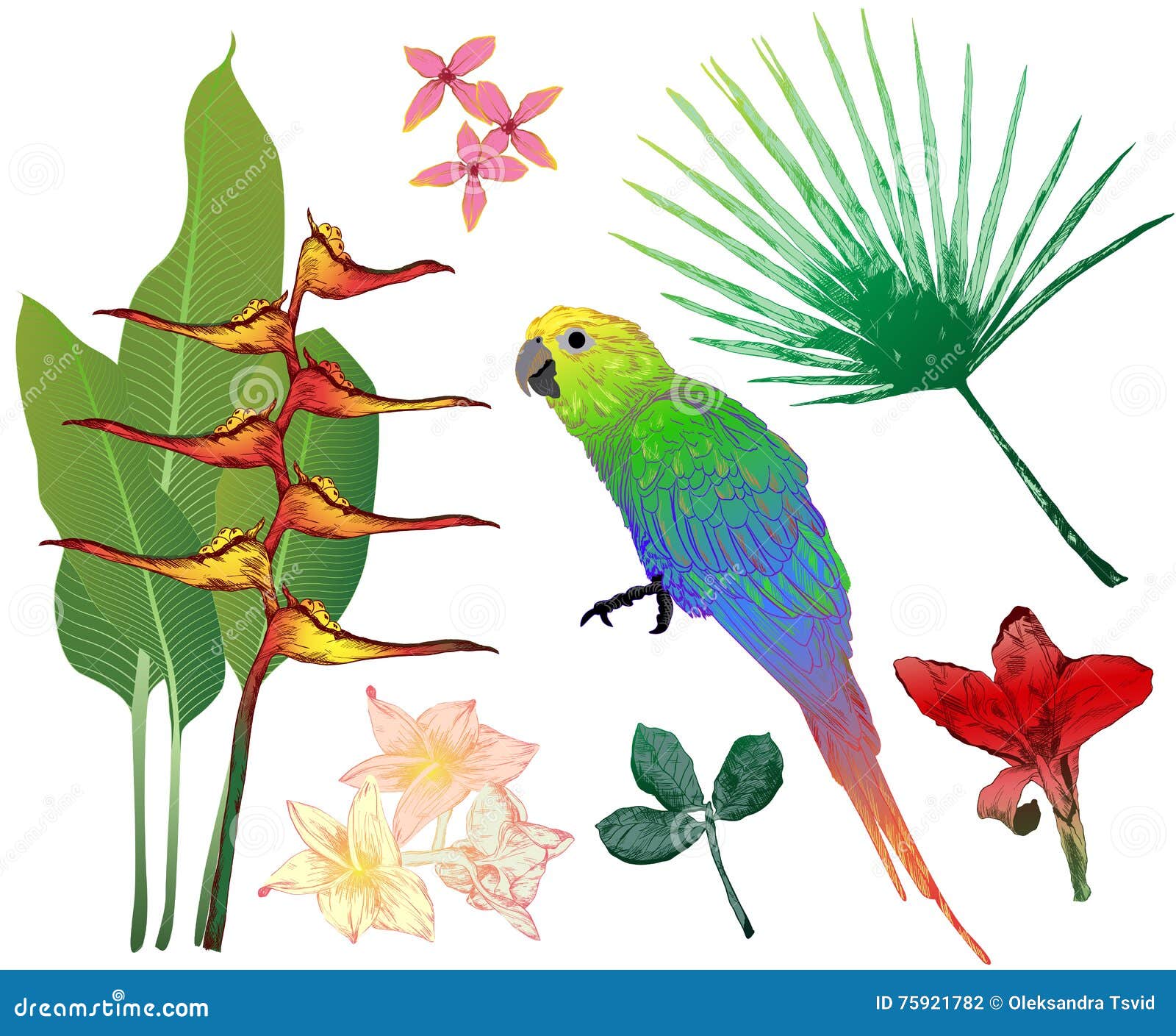 Set of Colorful Tropical Elements for Your Design Stock Vector ...