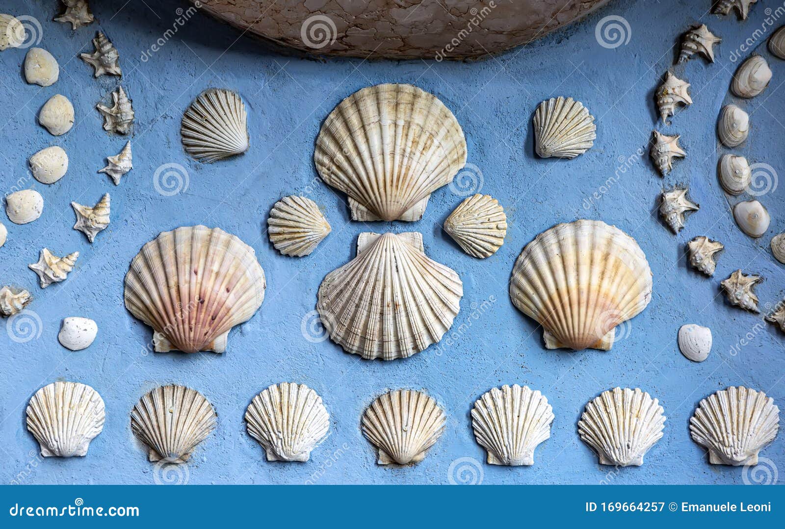 Set, Composition of Sea Shells Scallops on Blue Background Stock Image ...