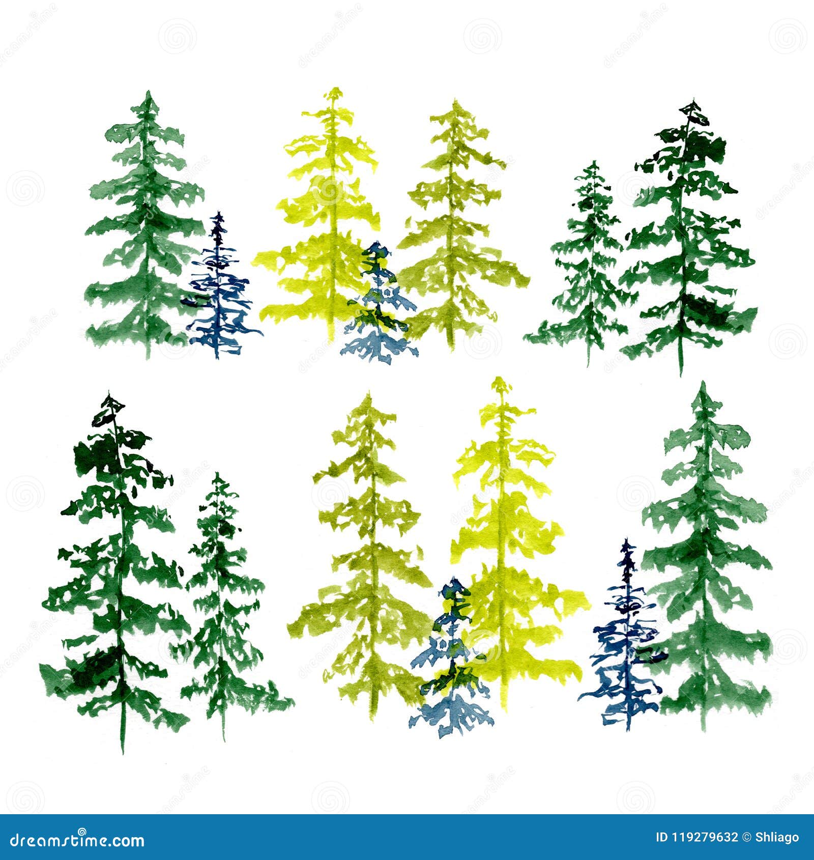 Set of Conifer Trees Drawing by Watercolor, Illustration Stock ...