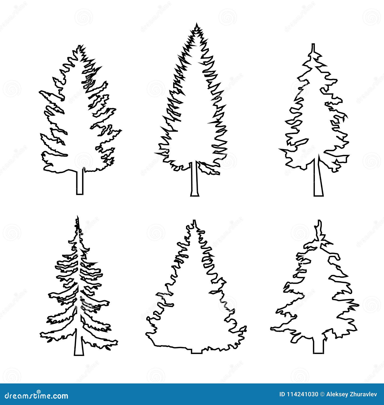 Set of Conifer Trees, Pine Nature Design Element, Line Icon Flat Design ...