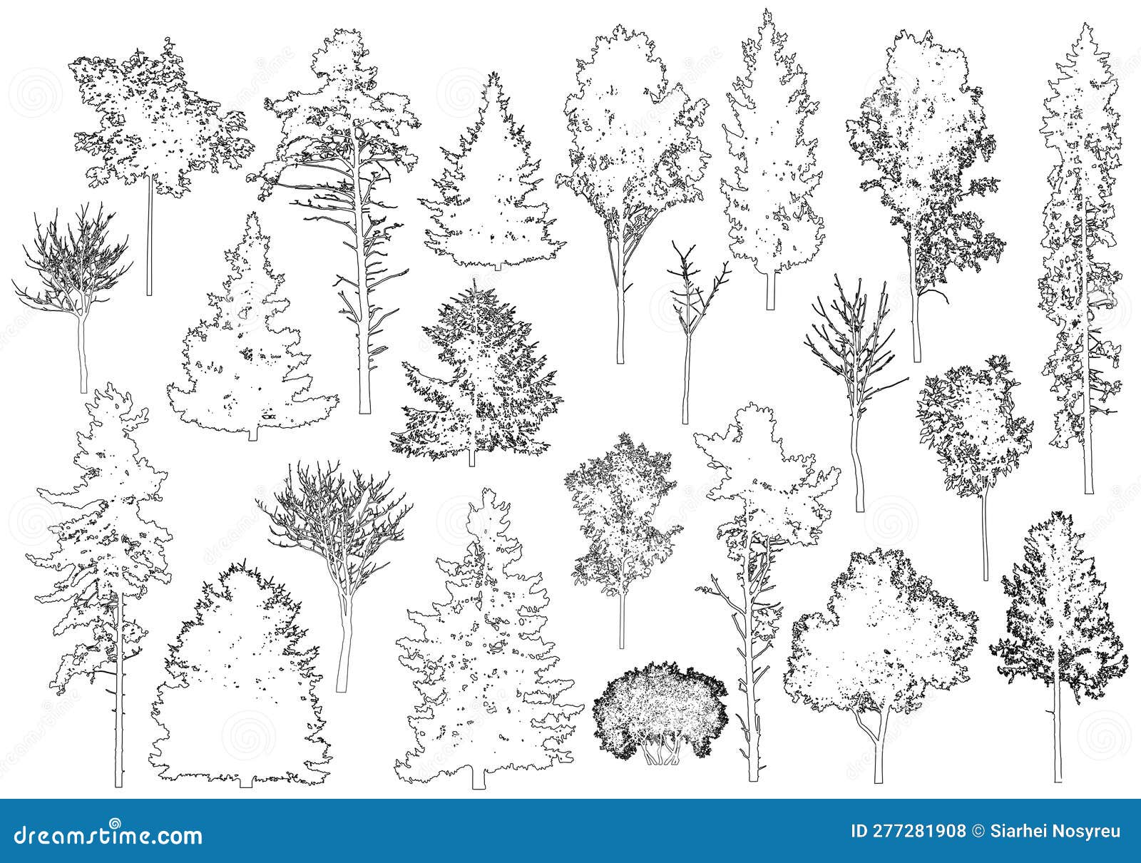 Set Of Coniferous And Deciduous Trees For Architecture And Landscape ...