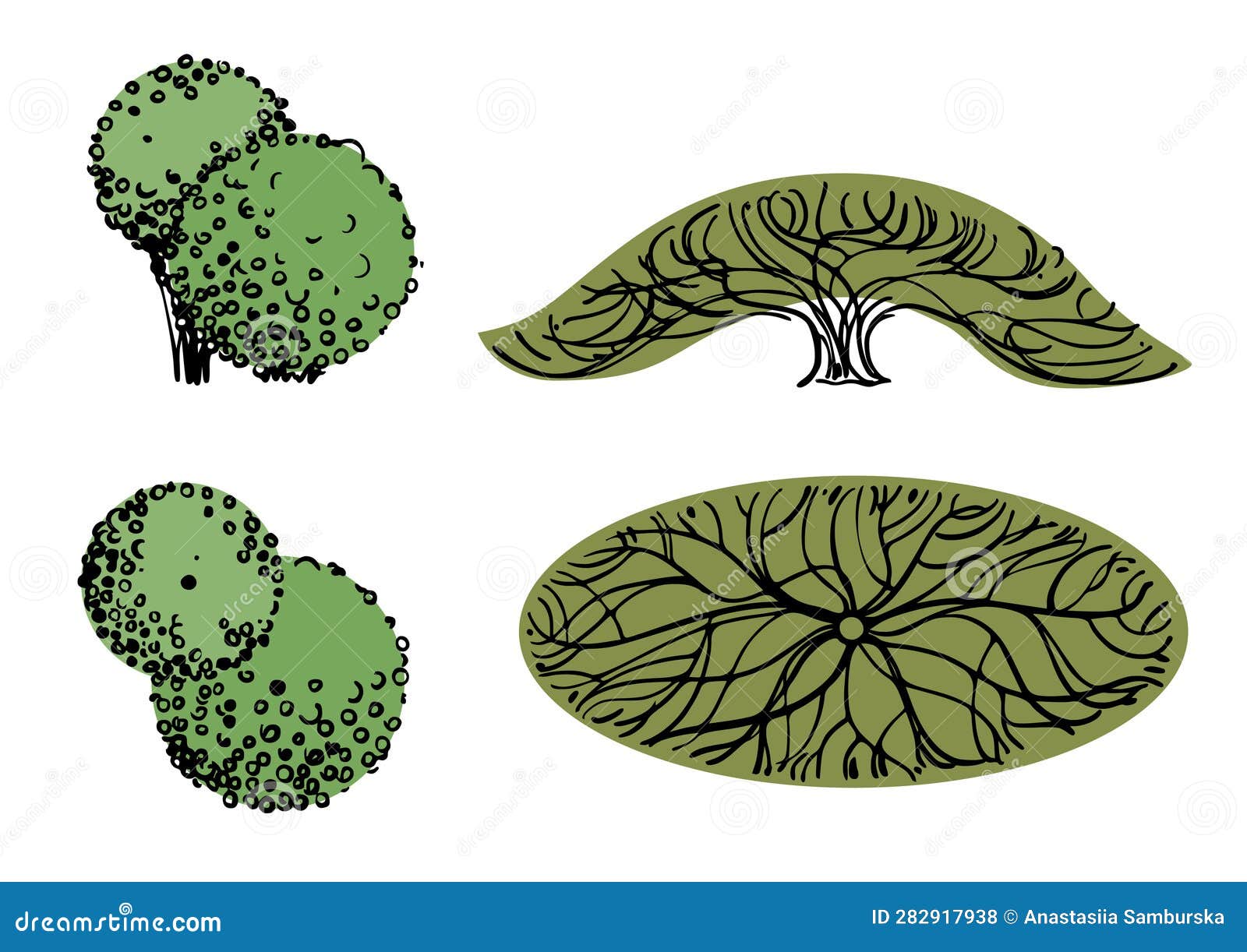 Set of Coniferous and Deciduous Trees, Bushes. Isolated on White ...