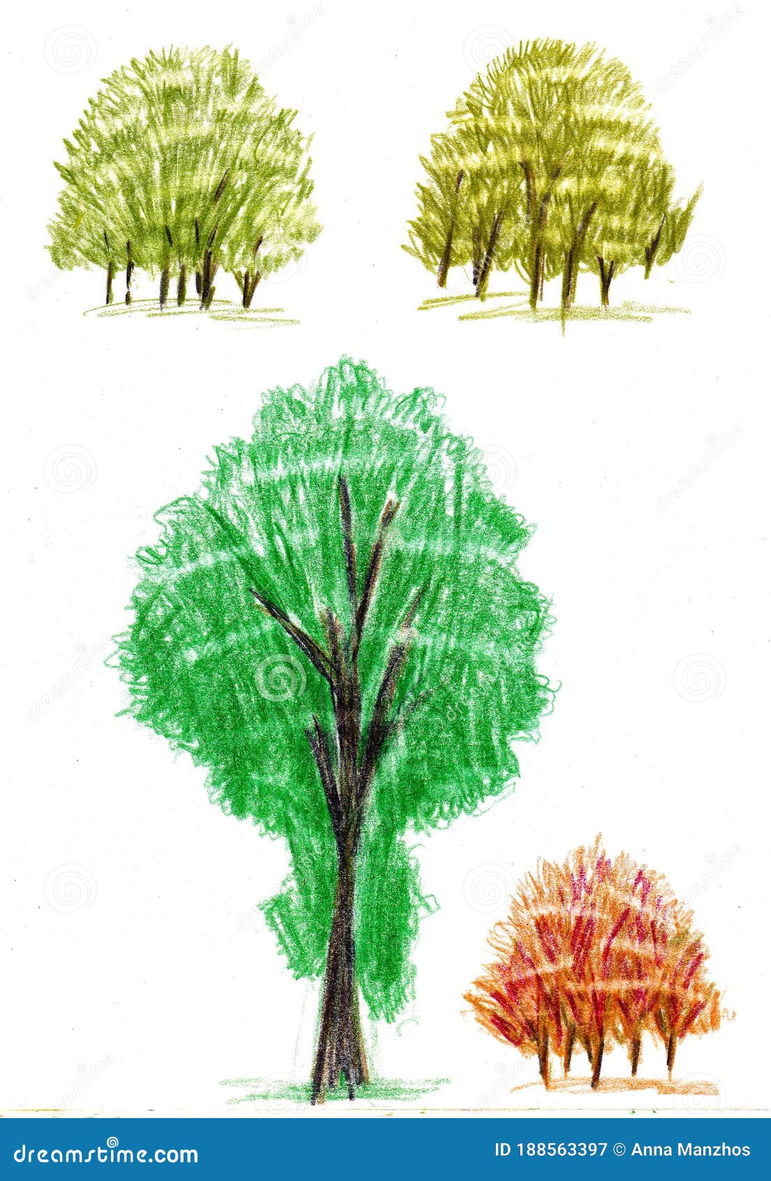 A Set Consisting of Tree and Bushes Created with Colored Pencils. Stock ...