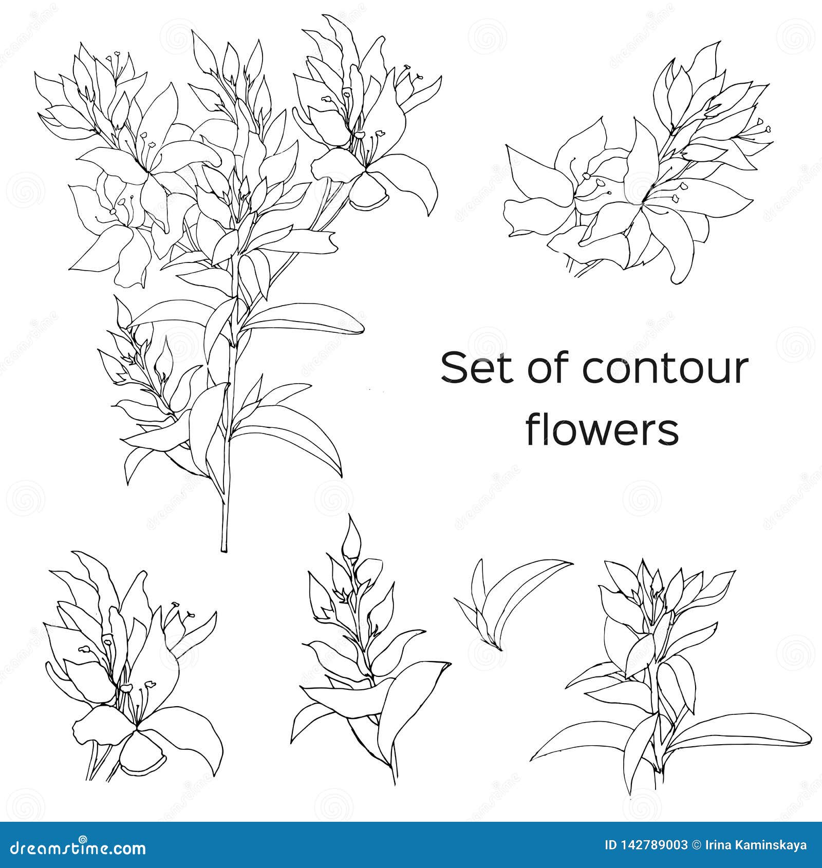 Set of Contour Vector Flowers Drawn by Ink. Contour Clipart for Use in ...