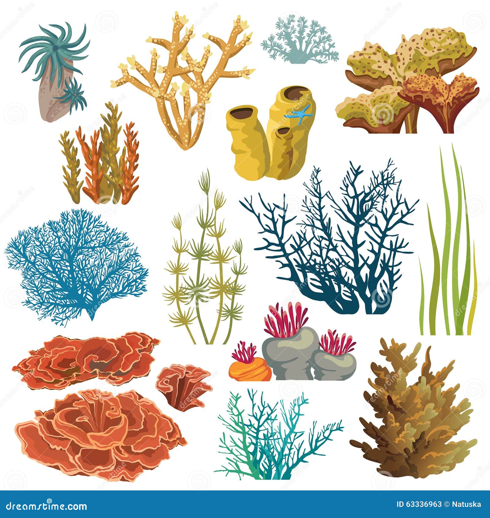 Corals And Algaes And Sea Water Nature Frame Cartoon Vector ...