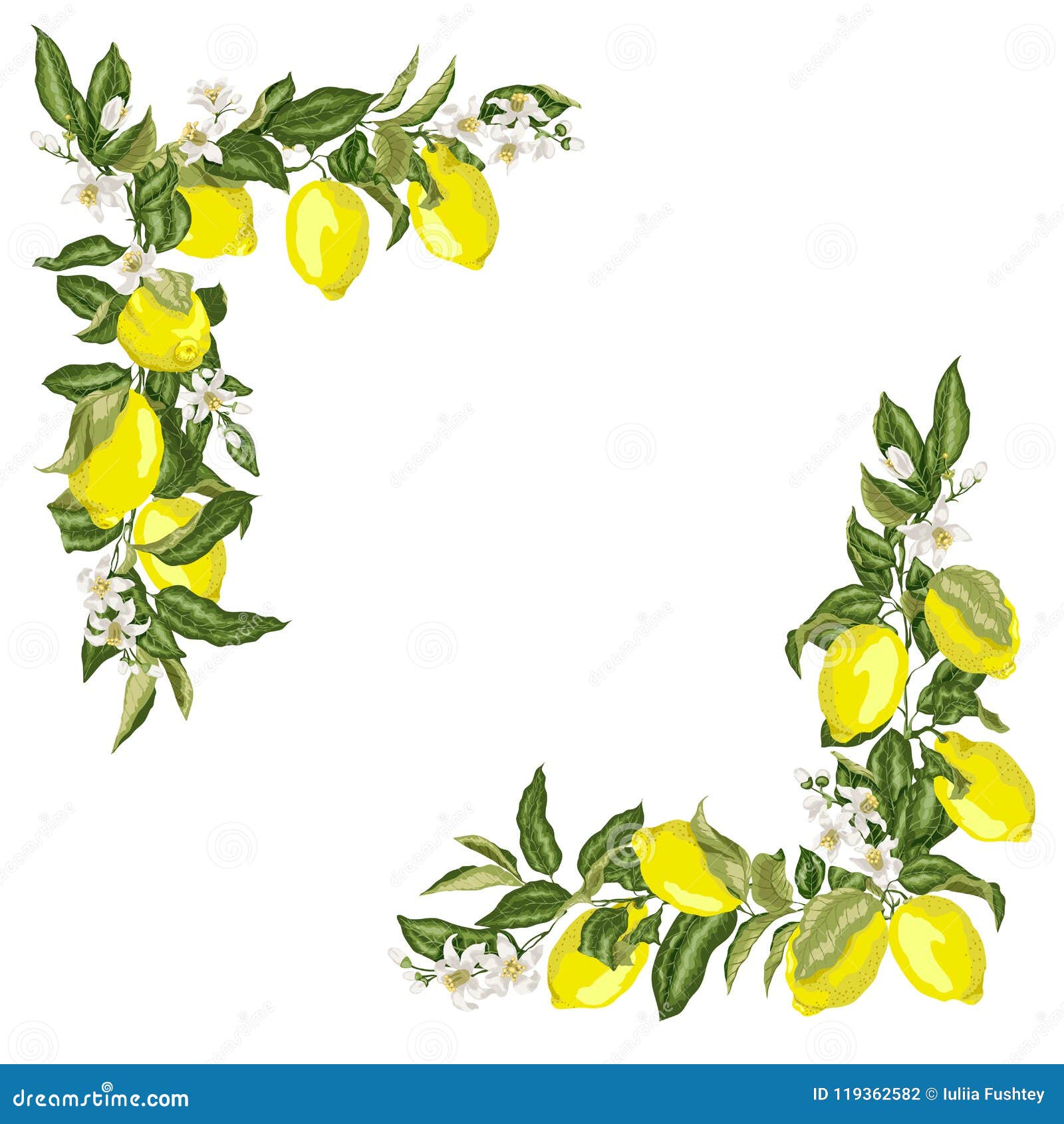Lemon Flower Vector
