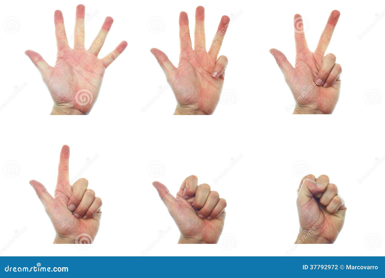 Set of counting hands stock photo. Image of overwhite - 37792972