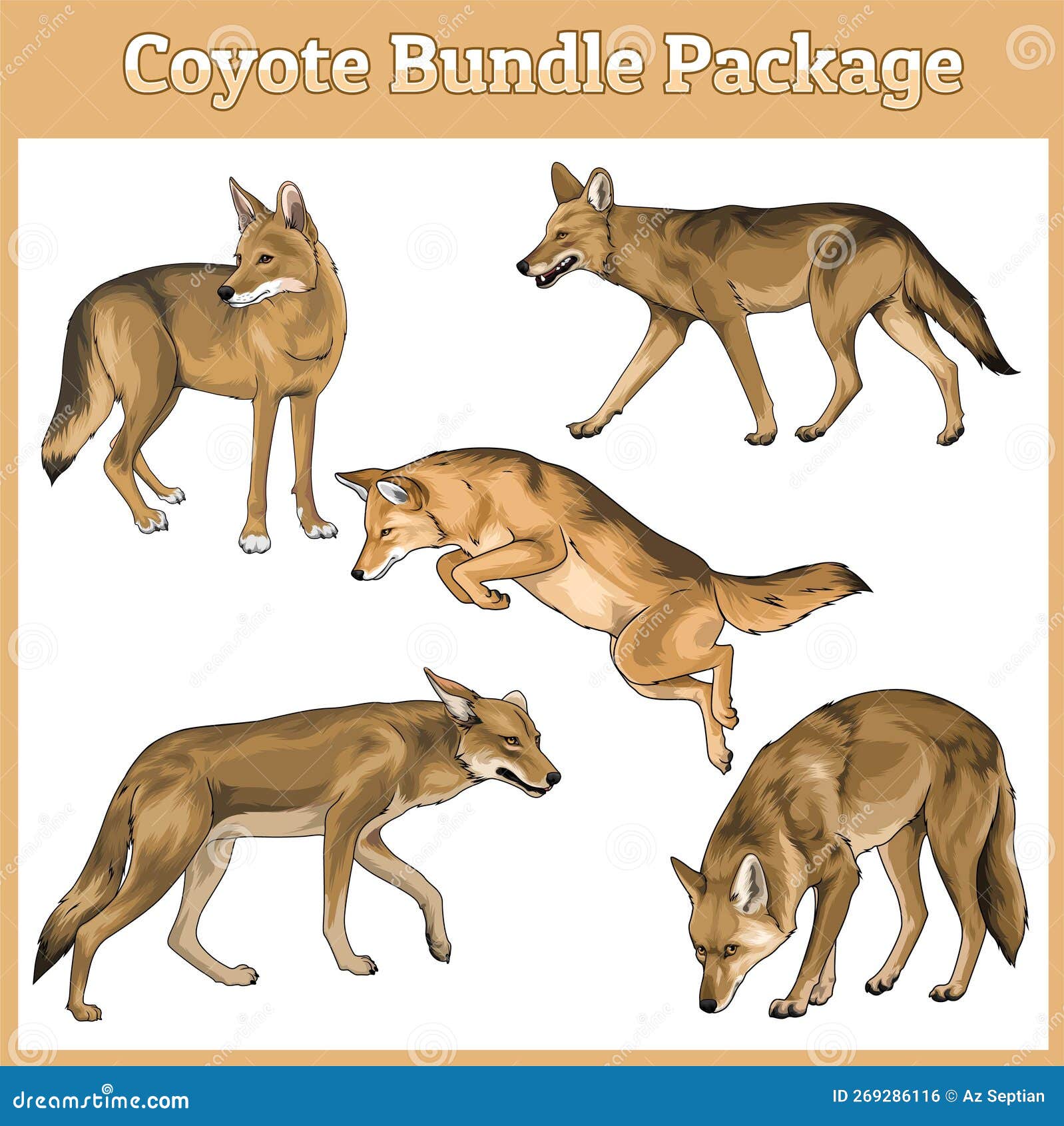 Coyote Vector Illustration Bundle Stock Vector - Illustration of system ...