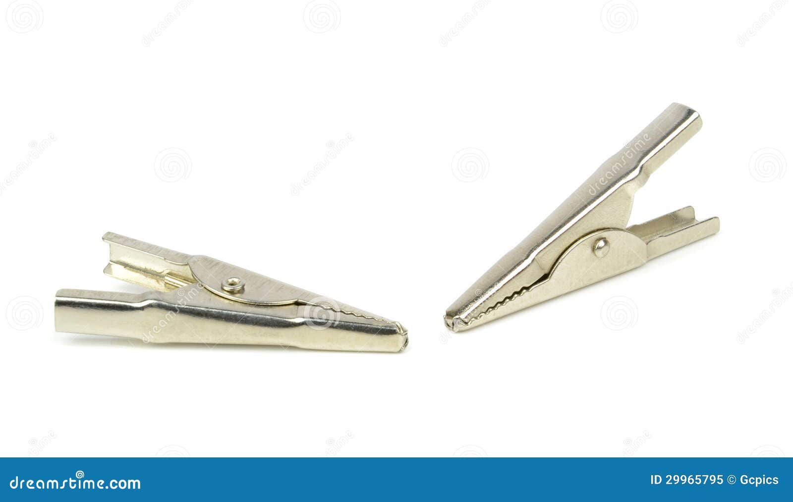 Crocodile Clips Royalty-Free Stock Image | CartoonDealer.com #22970200