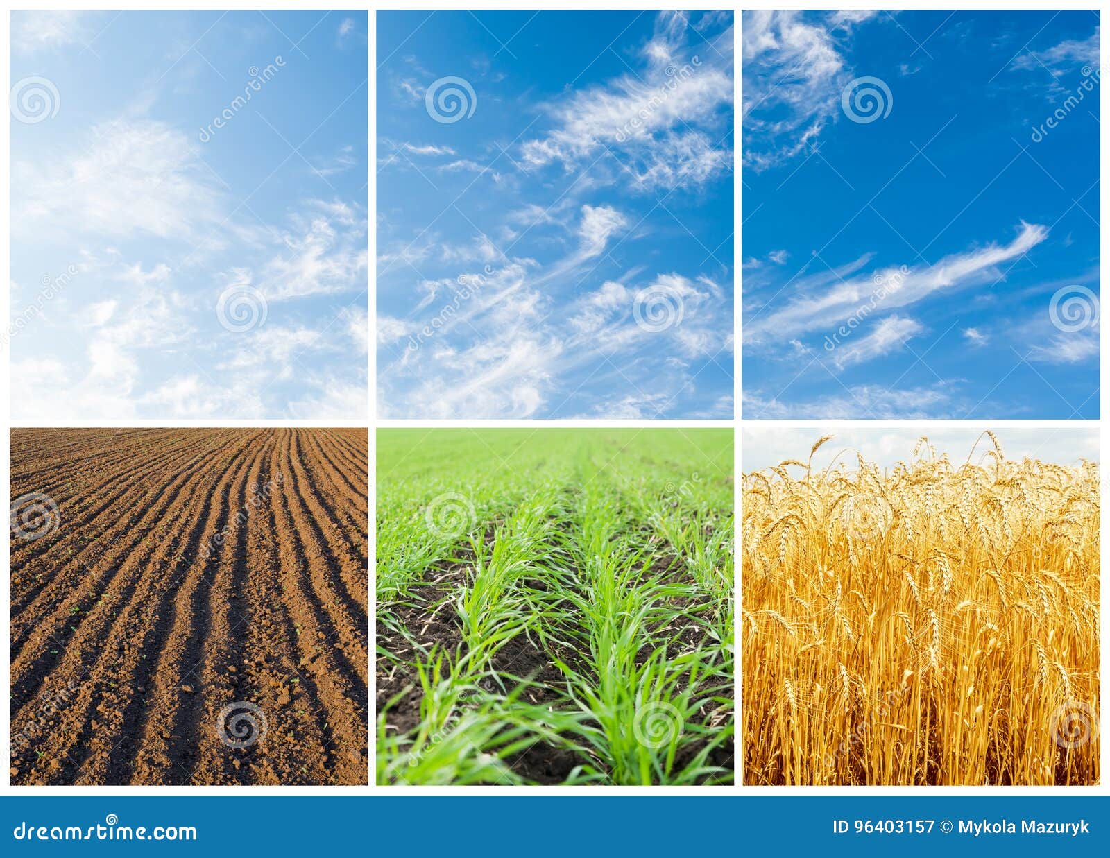 Set with Crop in Fields. Different Seasons of the Year Stock Image ...